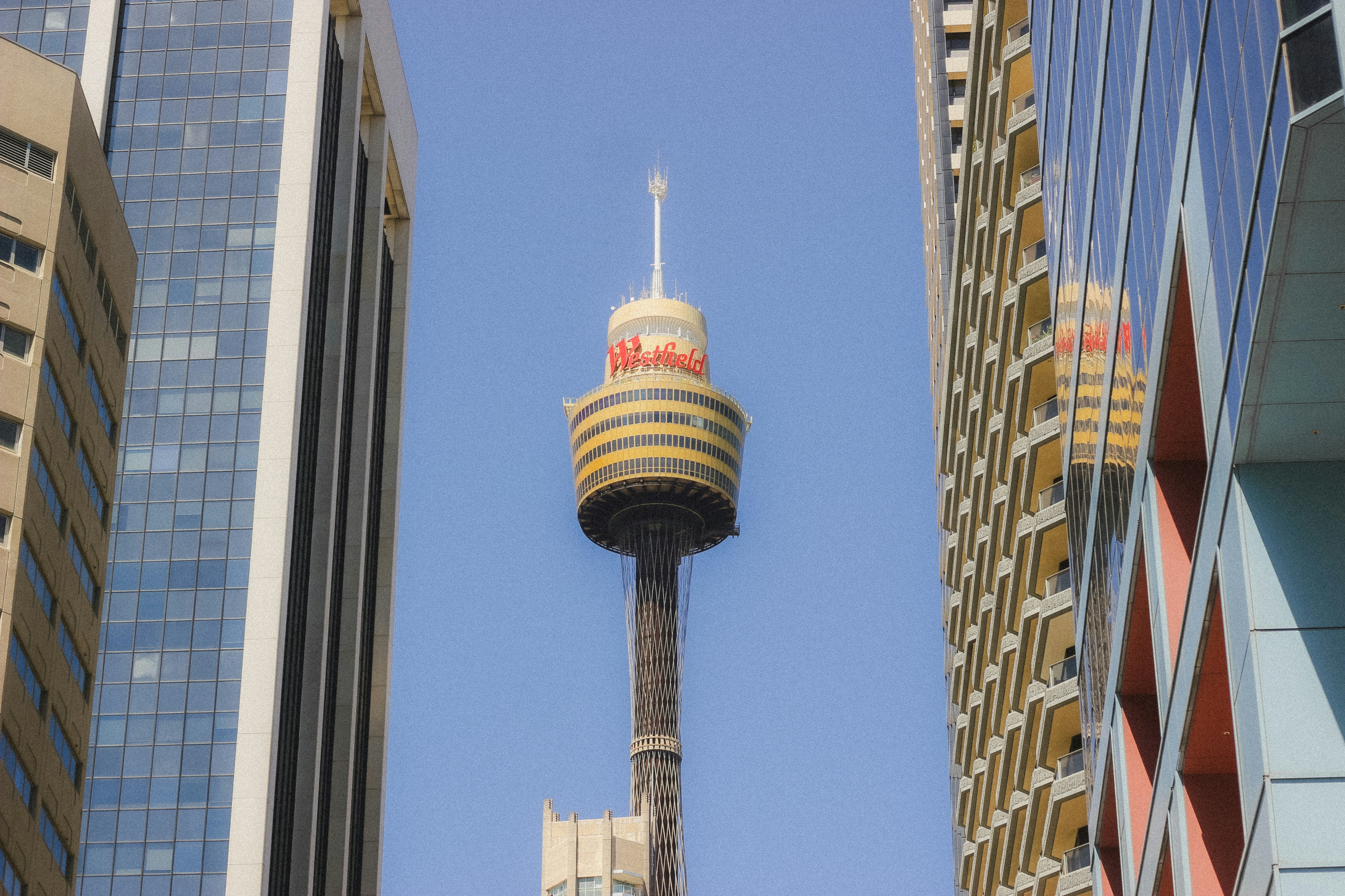 Observation Tower Framed by Urban Canopies