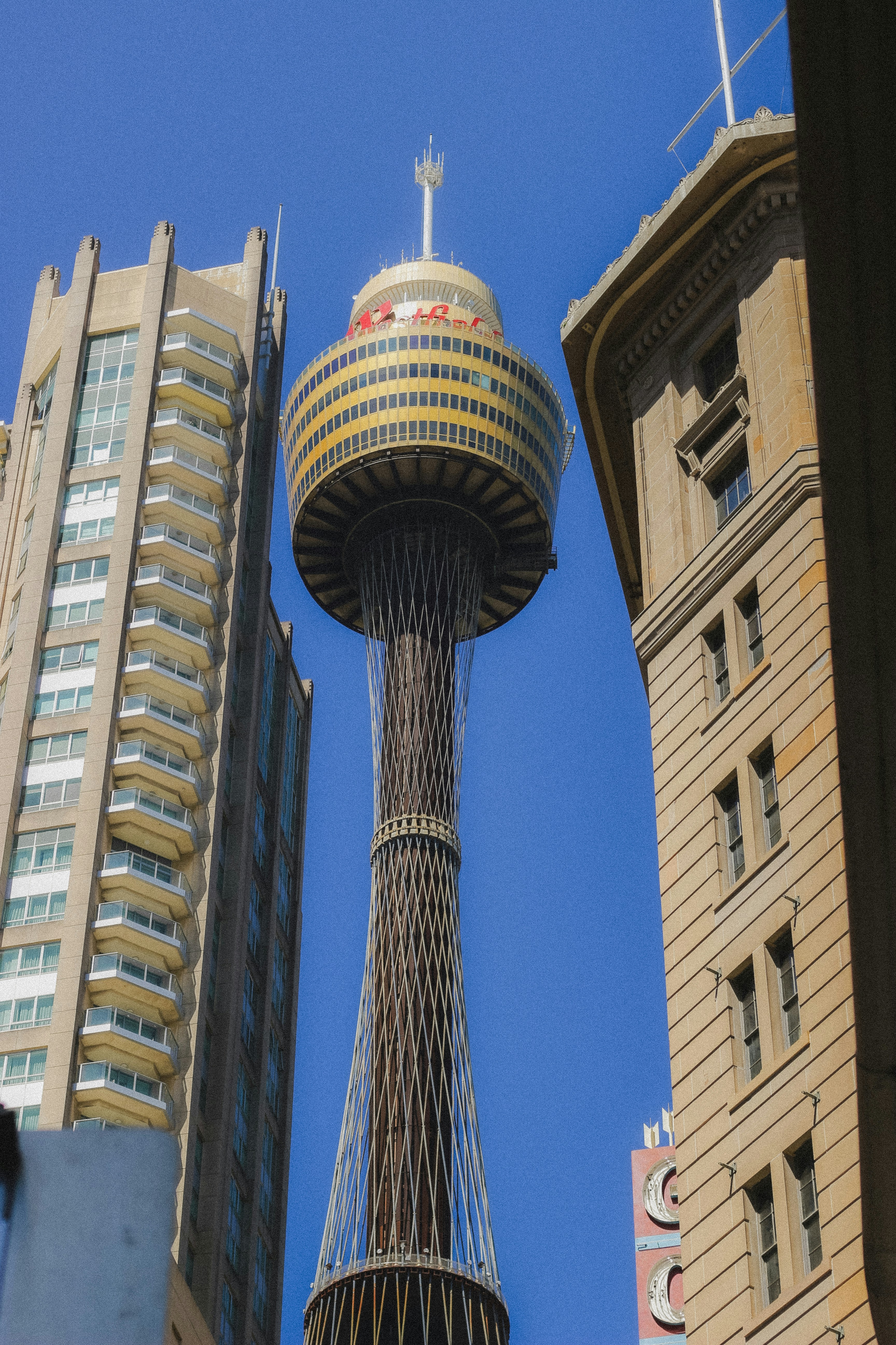 Sydney-like Tower in Punchy Urban Gorge
