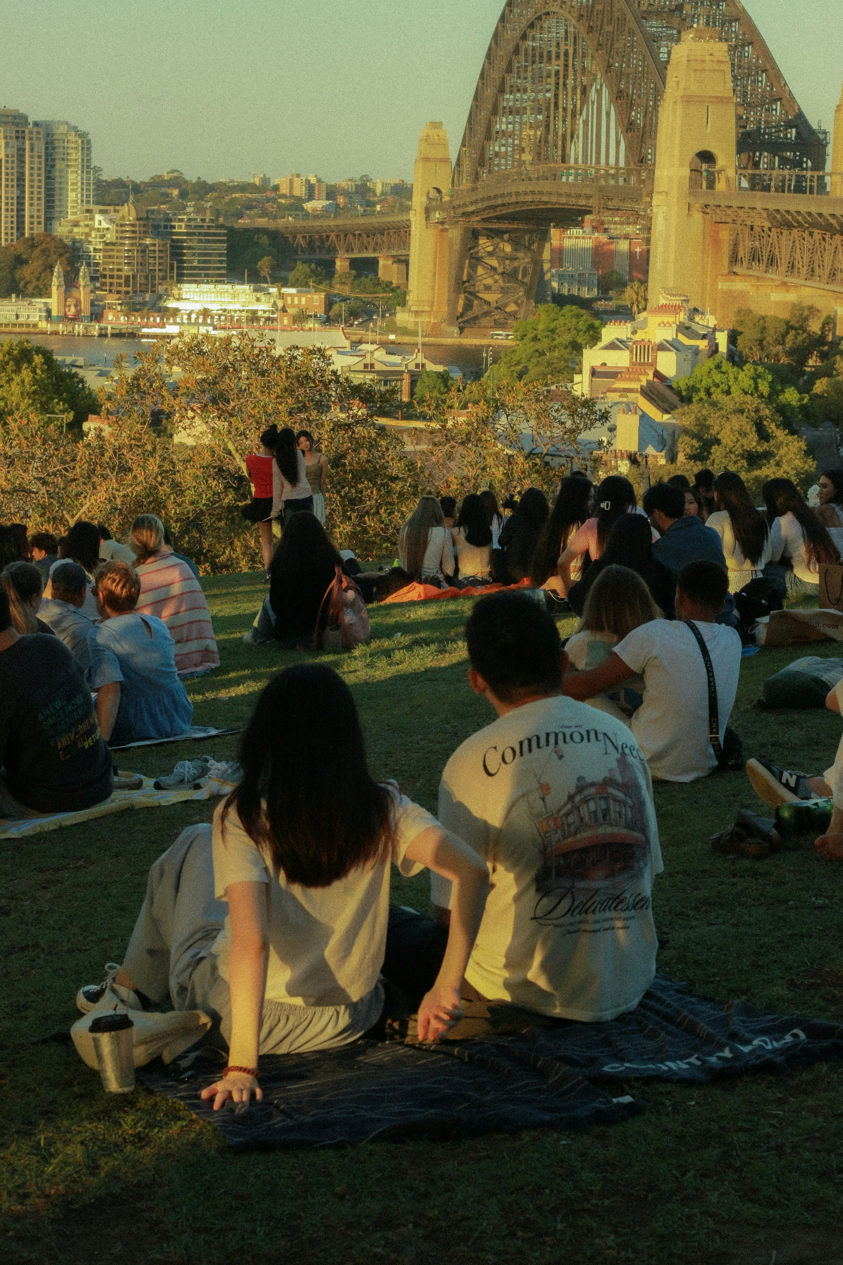 Evening Crowd on the Grass Before the Harbour Bridge