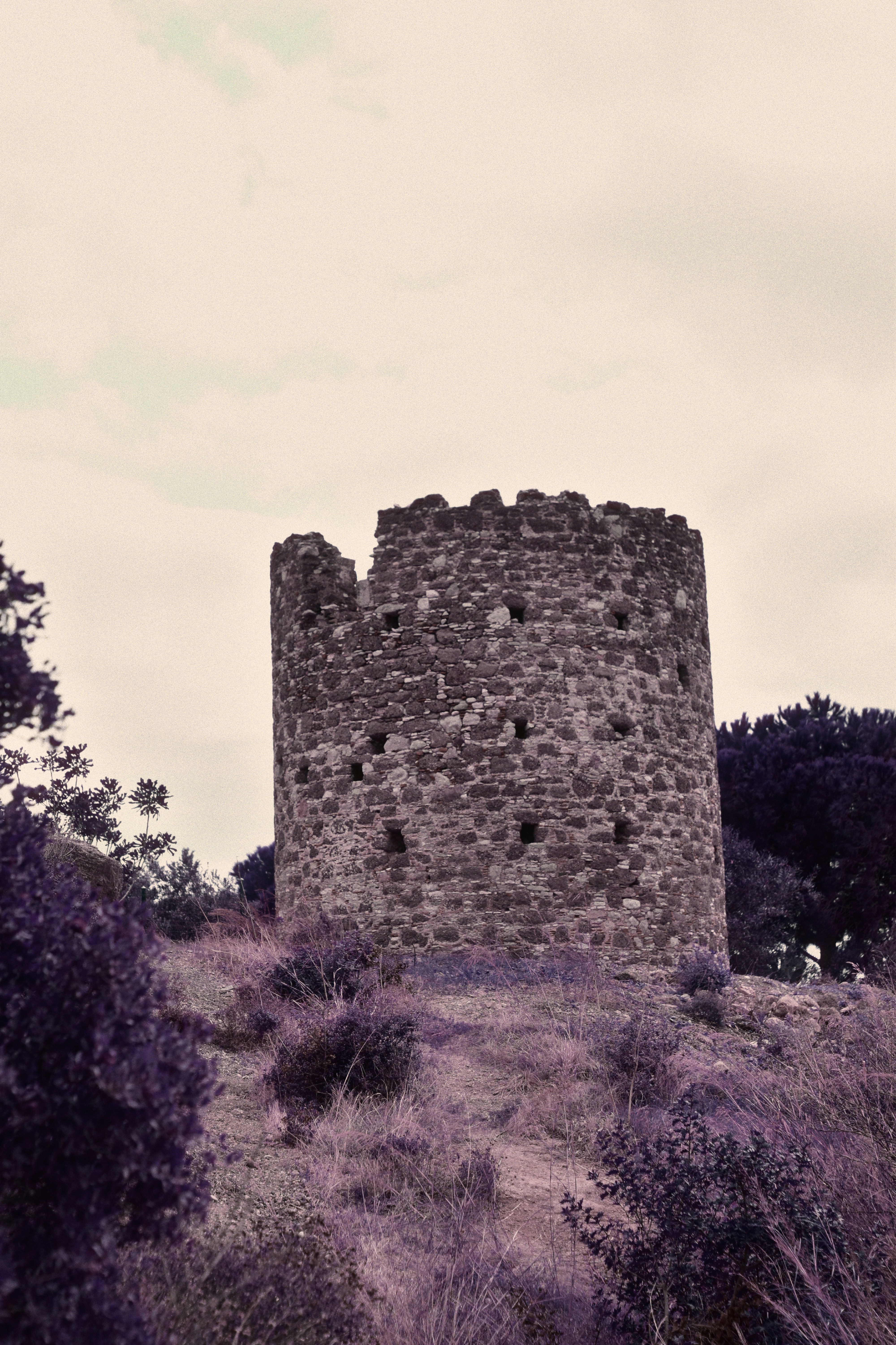 Stone Watcher on the Slope: A Round Tower Amid Wild Ferns