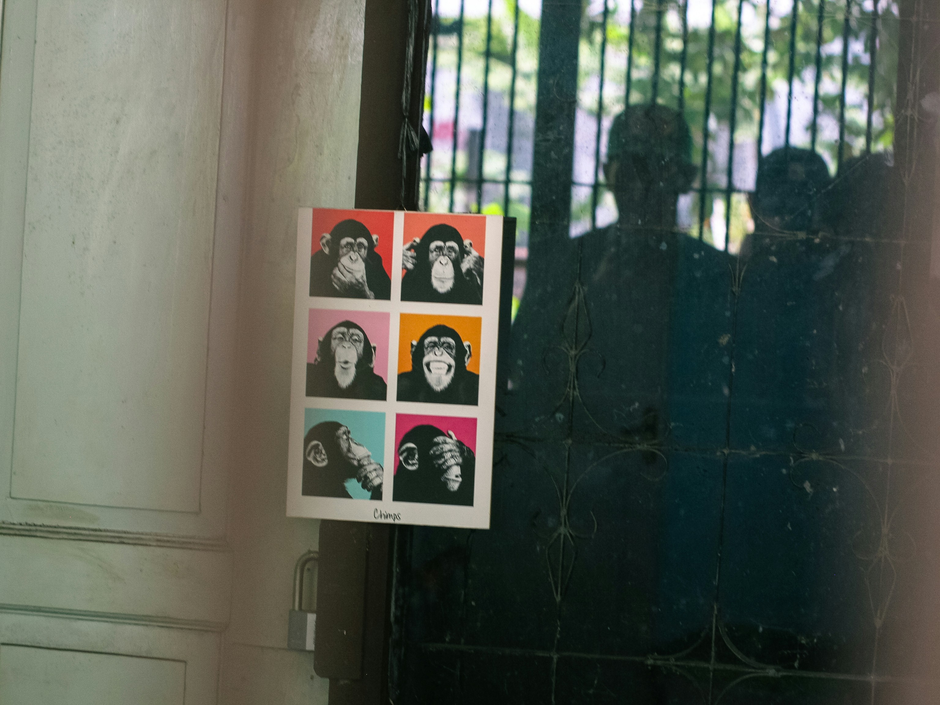 Pop Art on the Doorframe: A Mottled Portrait Card in Twilight Glass