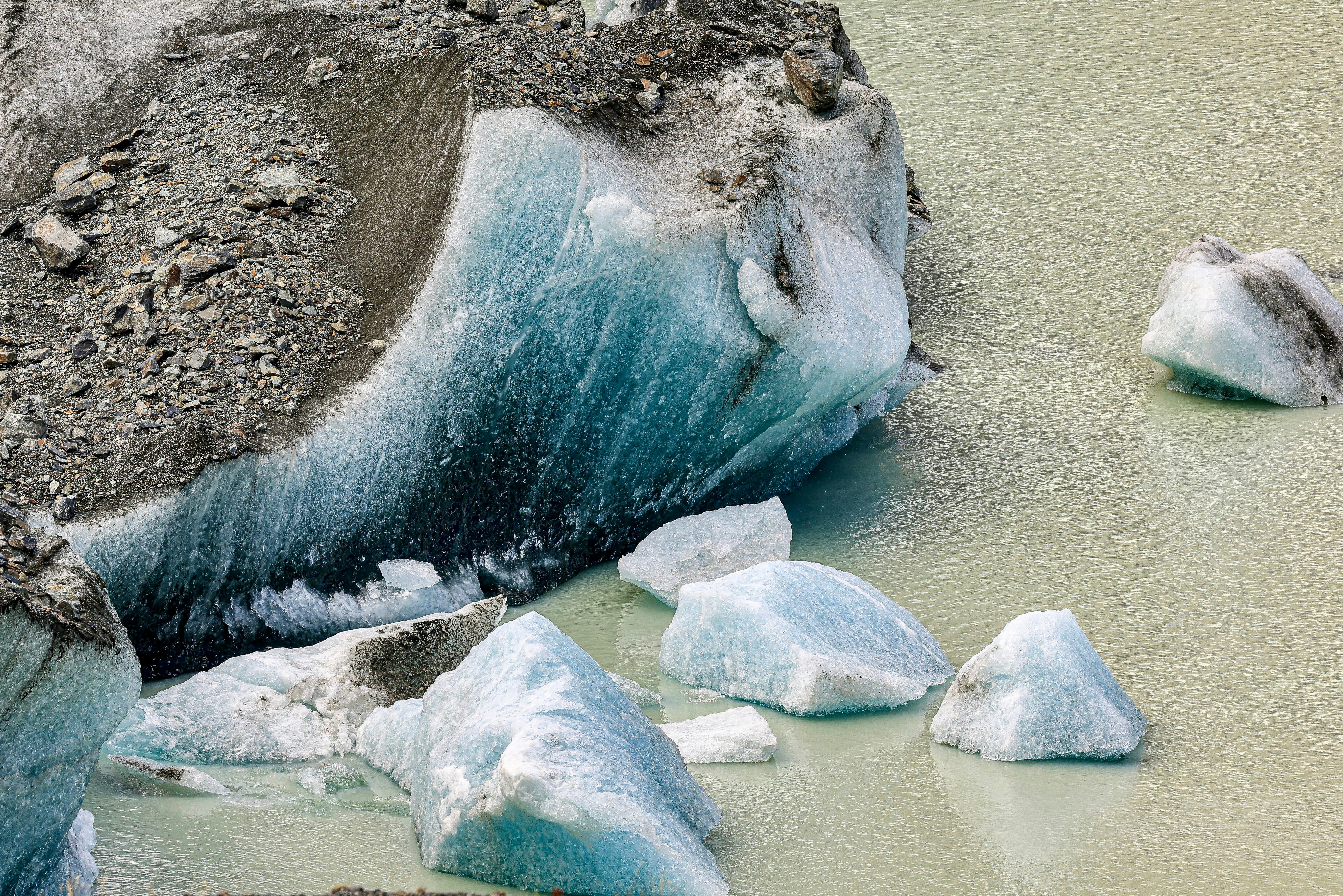 Glacial Icelets Adrift in Quiet Tan Waters