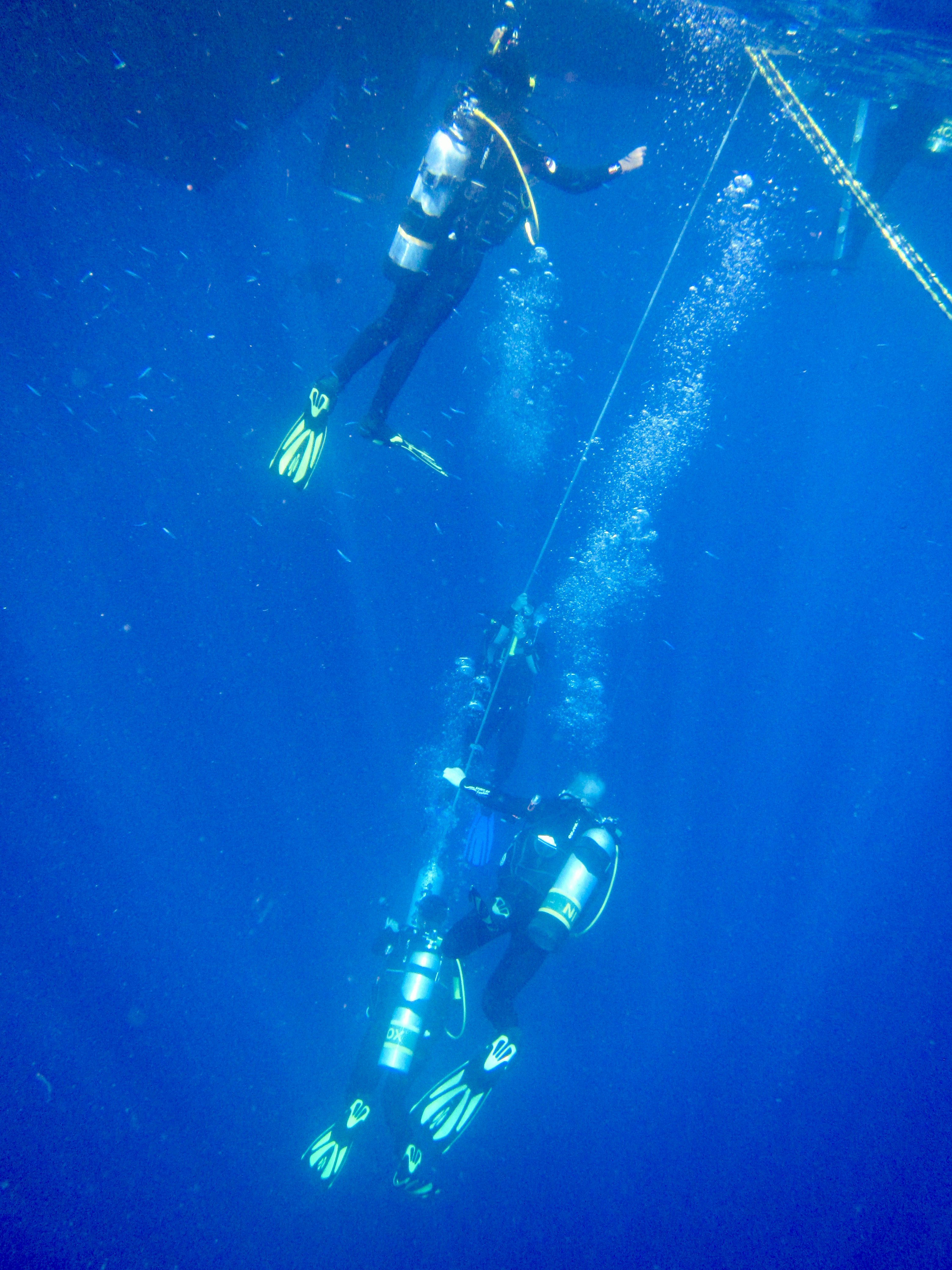 Divers descend into the deep blue ocean