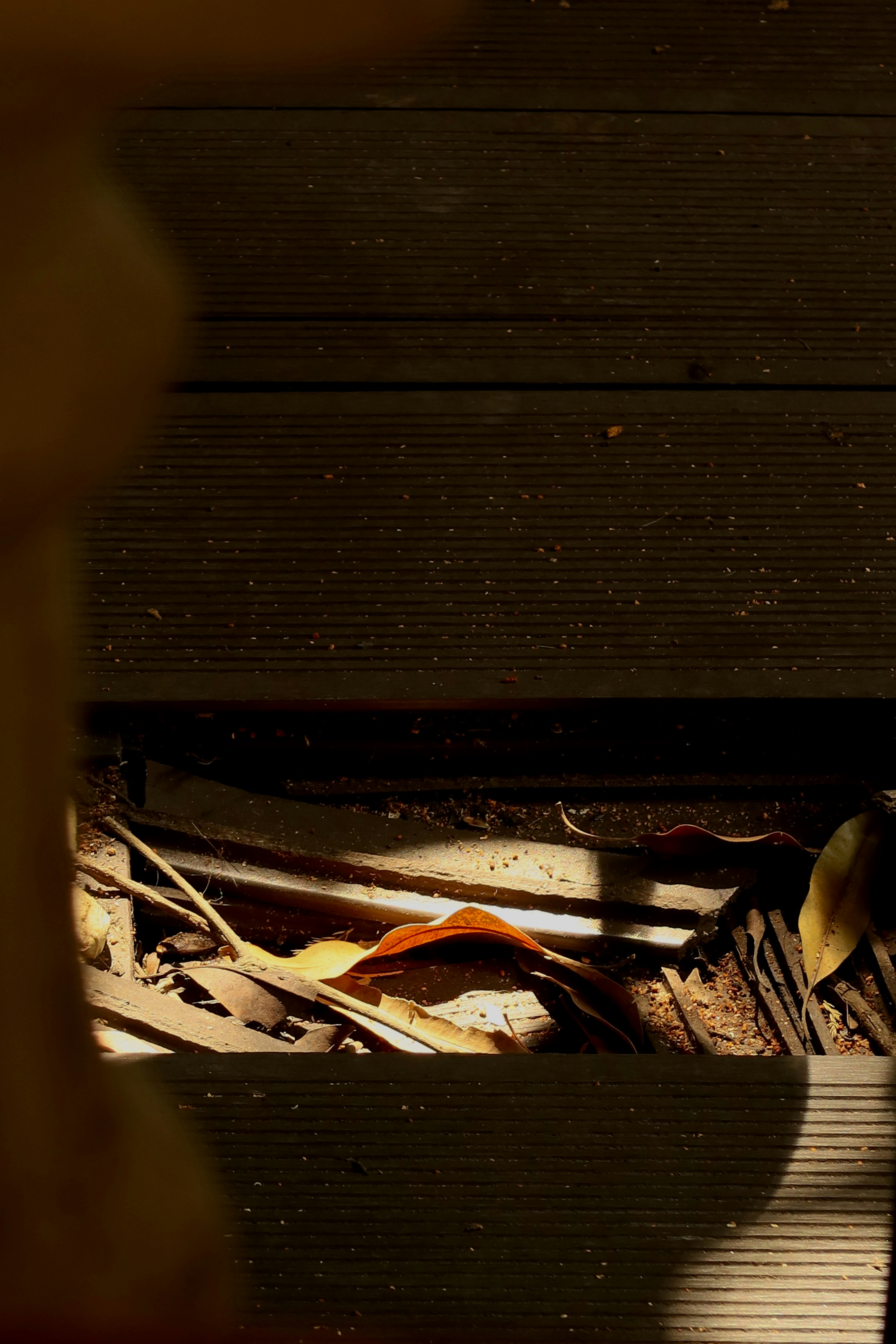 Hidden Ember Beneath the Deck Slats