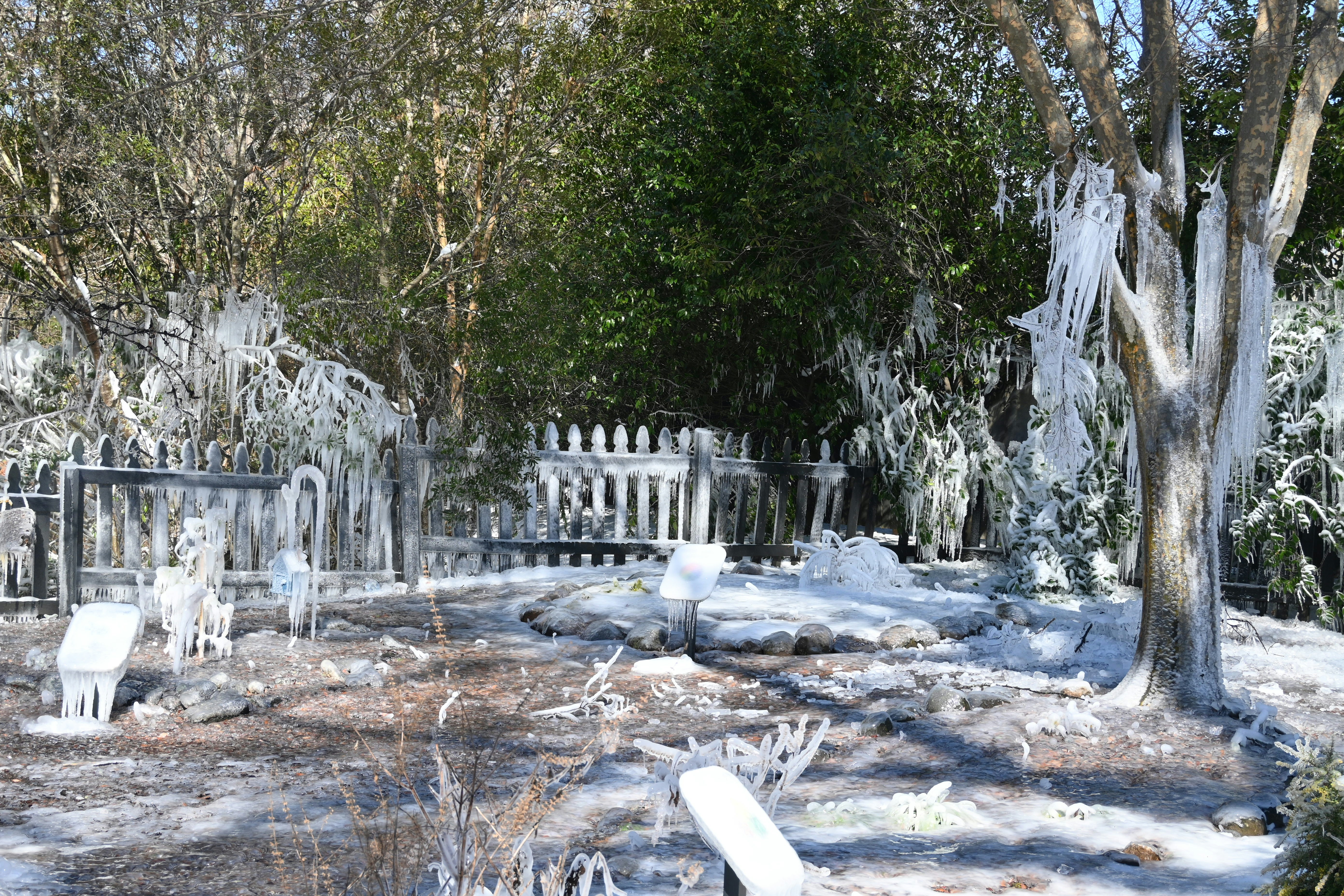 Snow-Laced Garden Perimeter with Frosted Fence and Benches