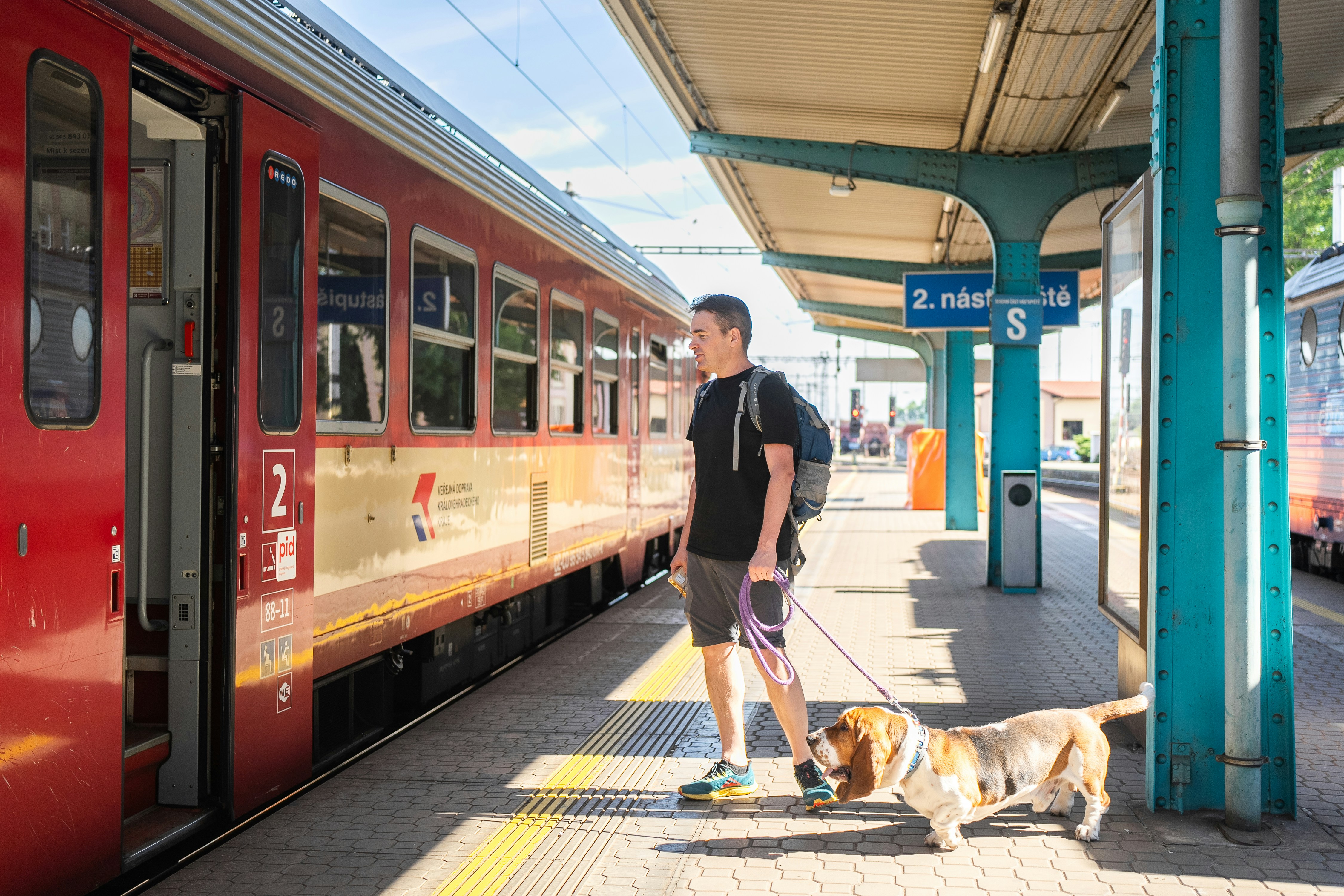 Crossing Tracks: Traveler with a Dog at a Sunlit Platform