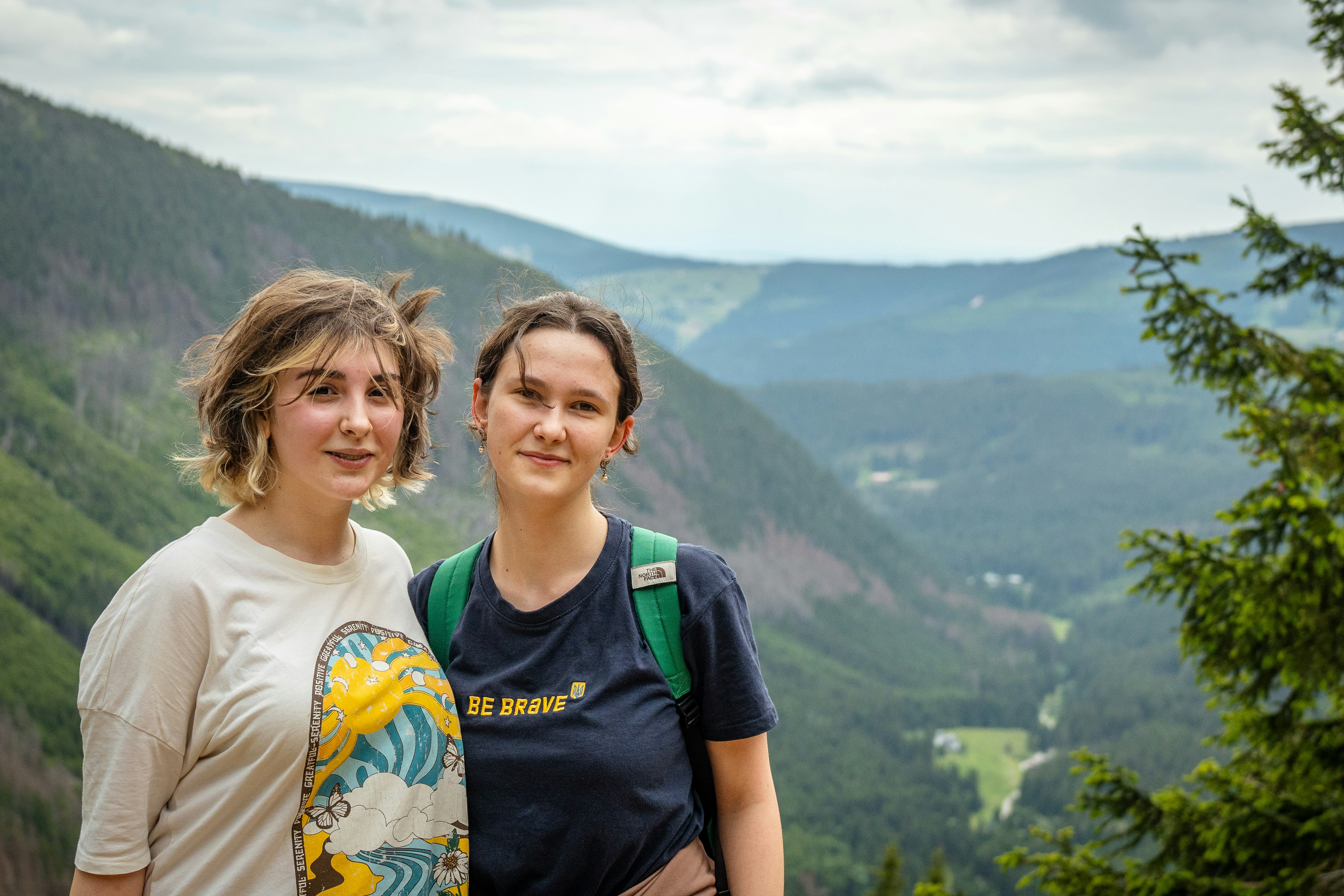 Two Friends on a Mountain View