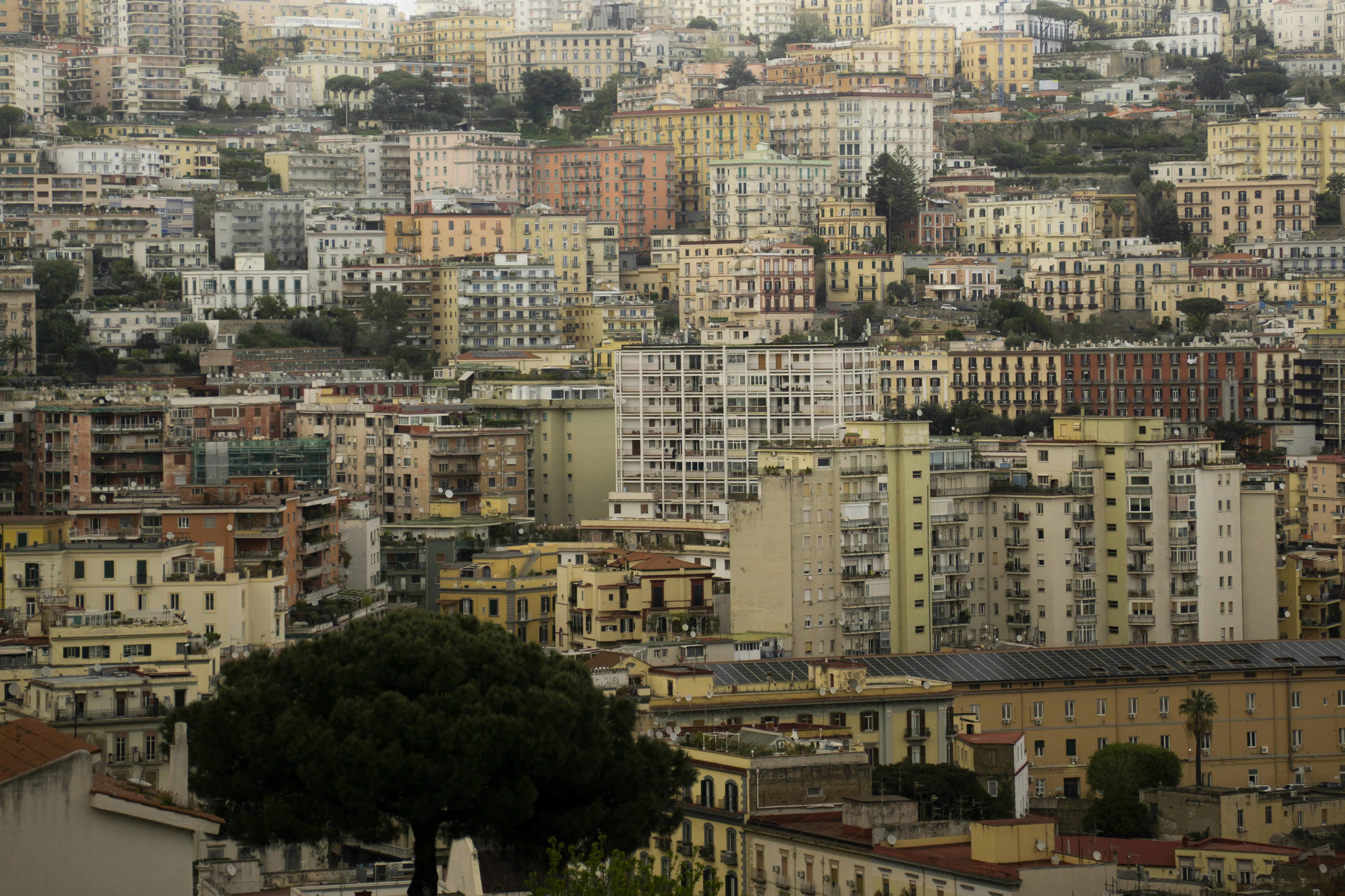 City Staircase: A hillside mosaic of Mediterranean balconies