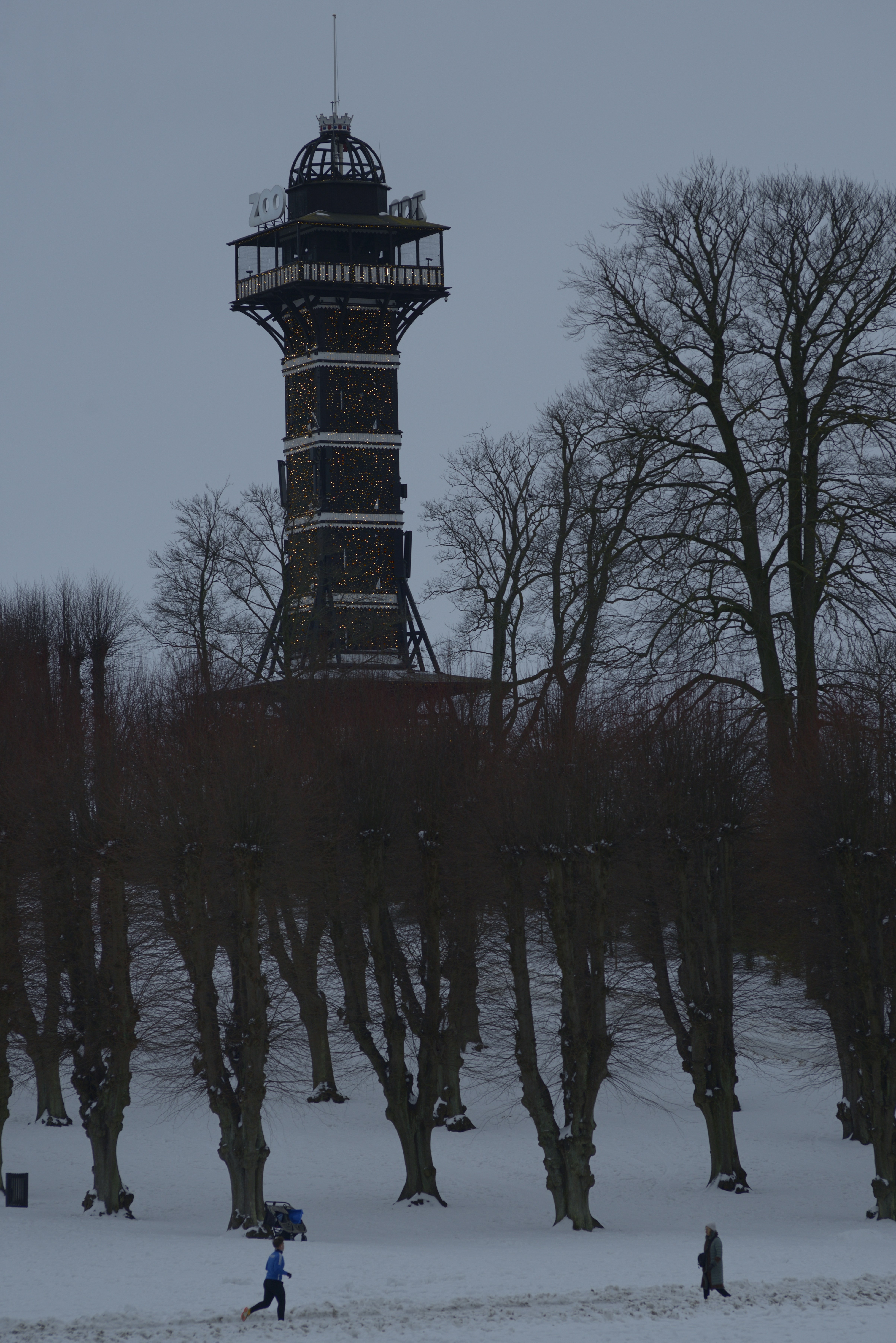 Winter Watchtower: Silent Snow and Tall Shadows