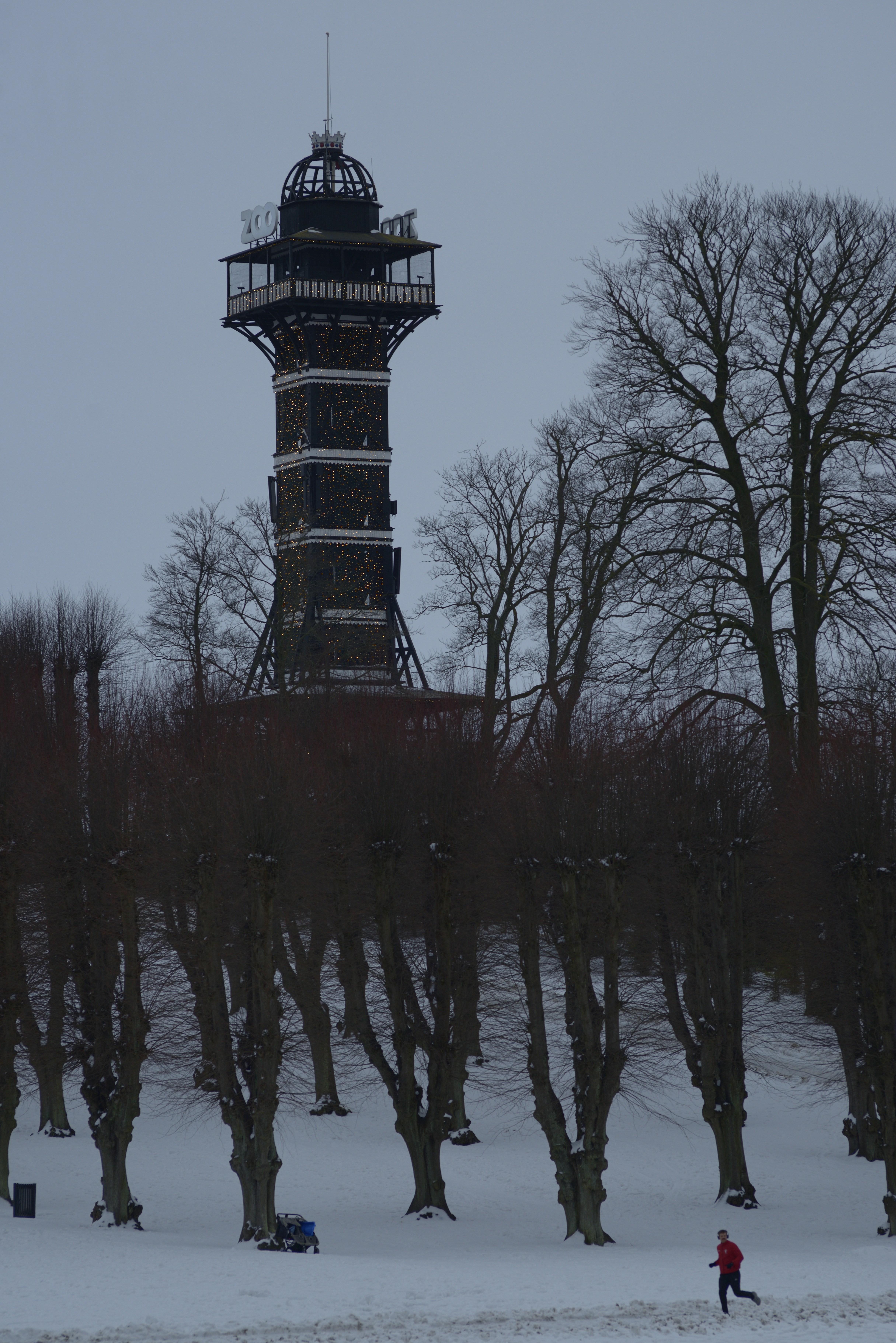 Winter Watch: The Tower Rising Above Snowlit Pines