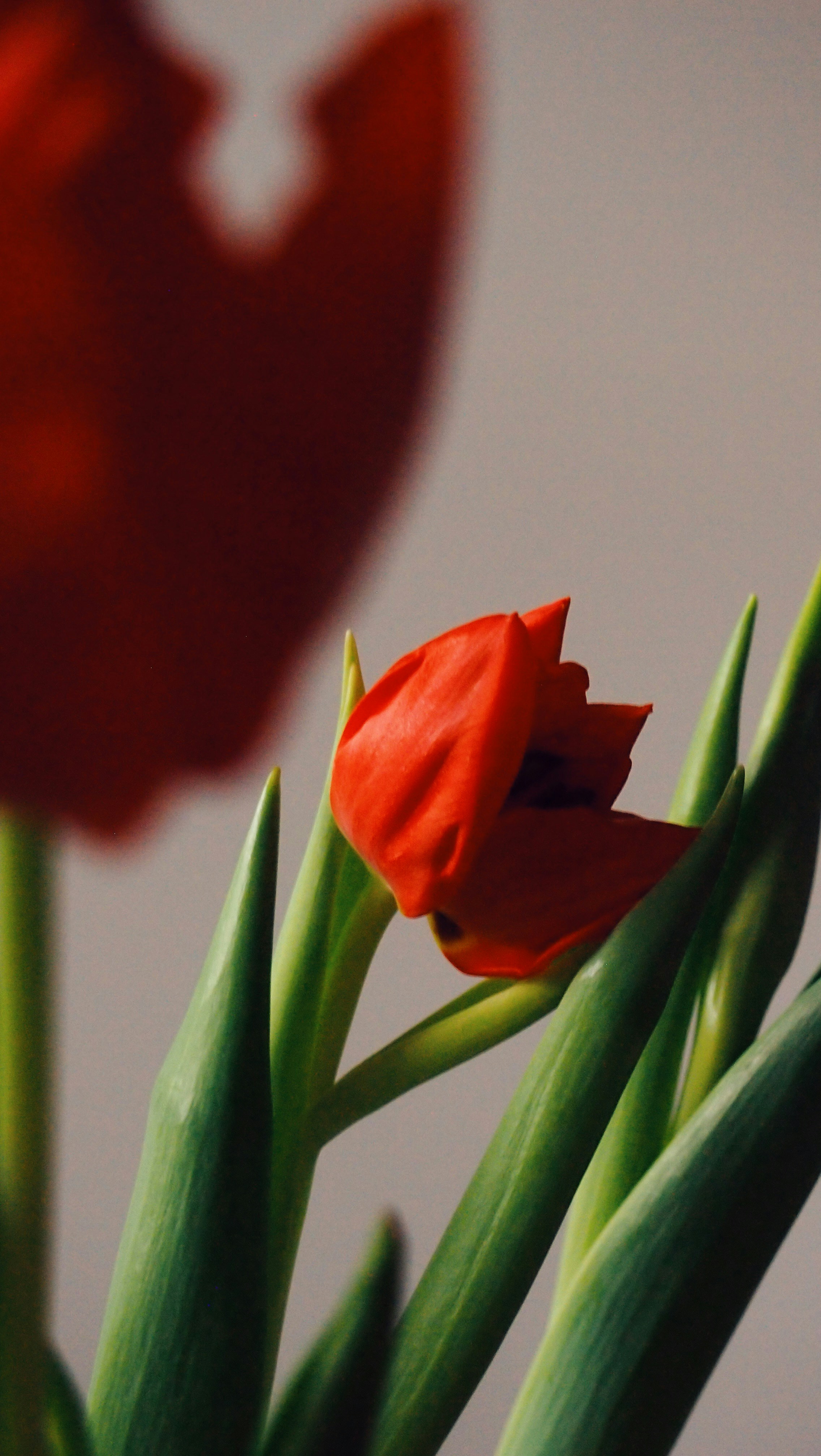 OLYMPUS DIGITAL CAMERA Processed with VSCO with we9 preset