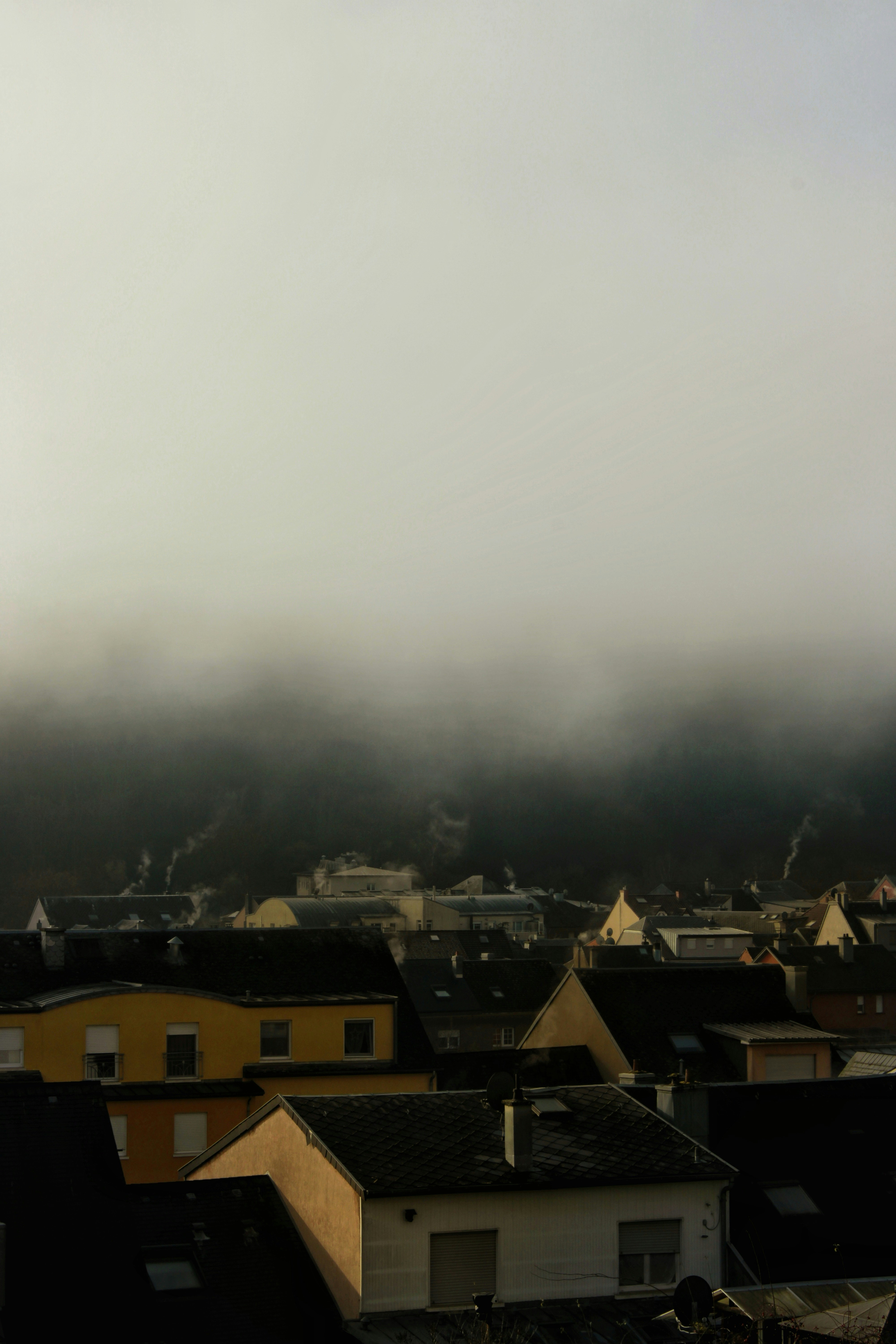 Fog over the Quiet Borough