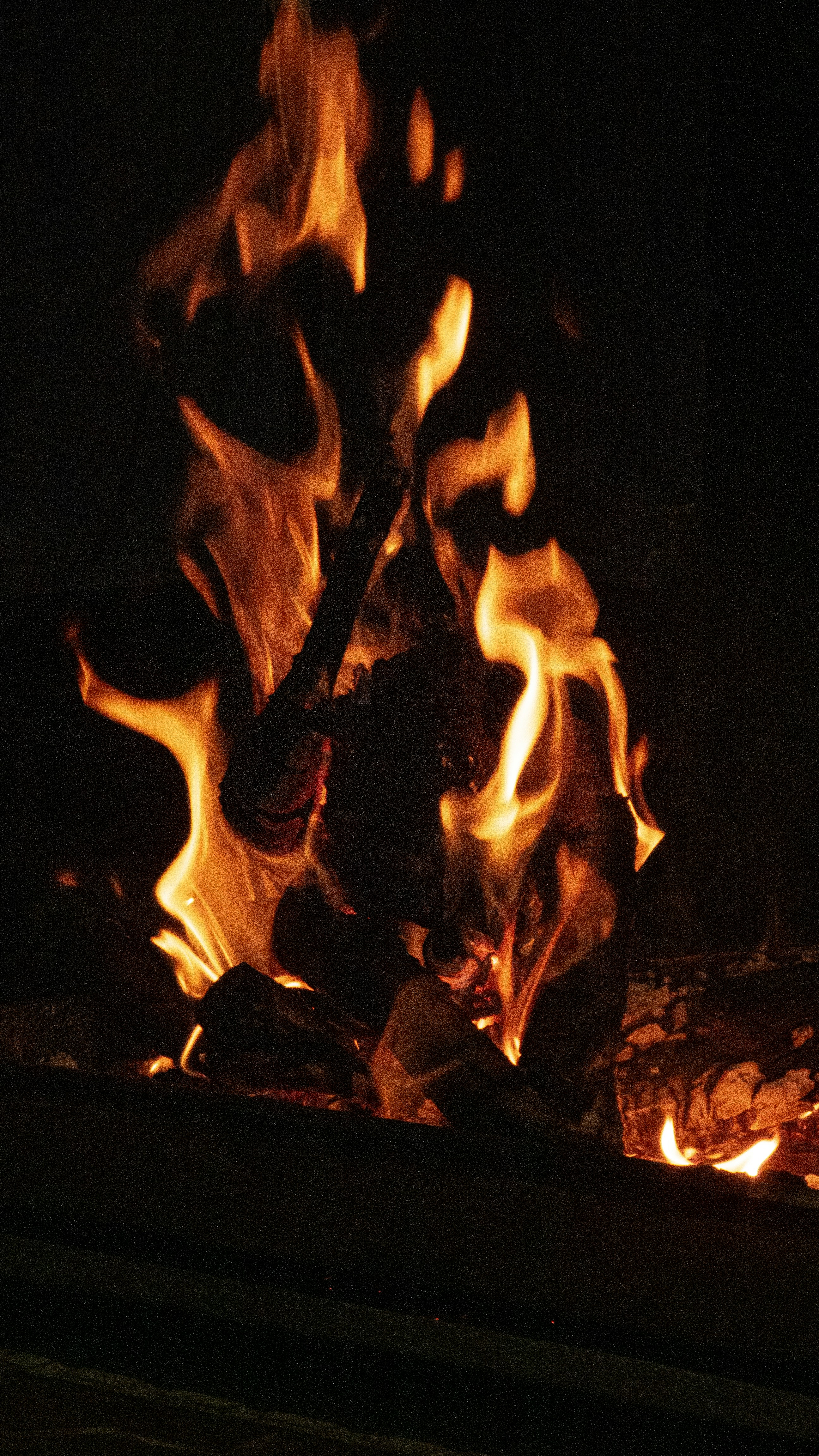 Flames in the Dark: A Warm Glow Within Charred Logs