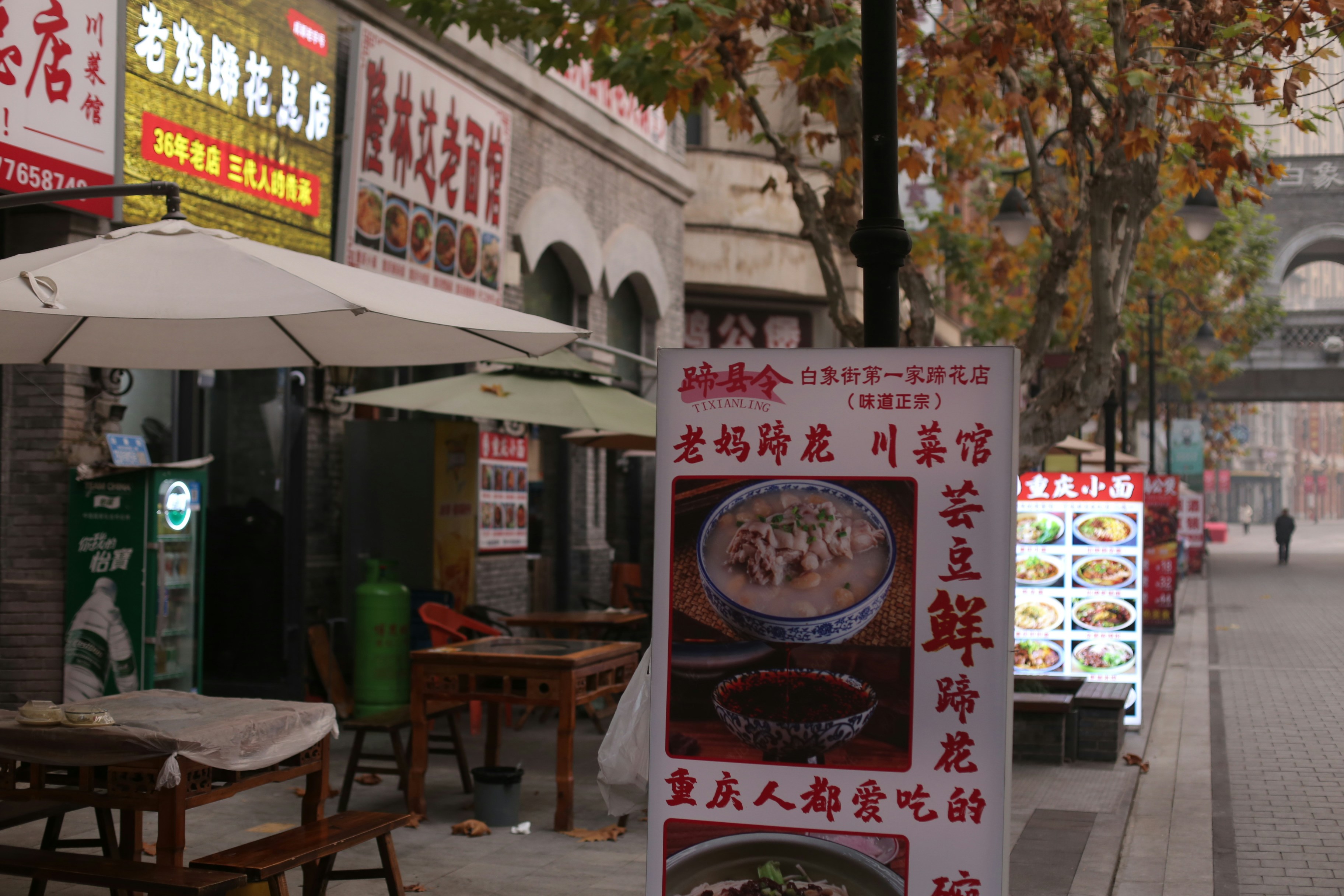 Signboard Street: A Quiet Moment Amid Culinary Promos