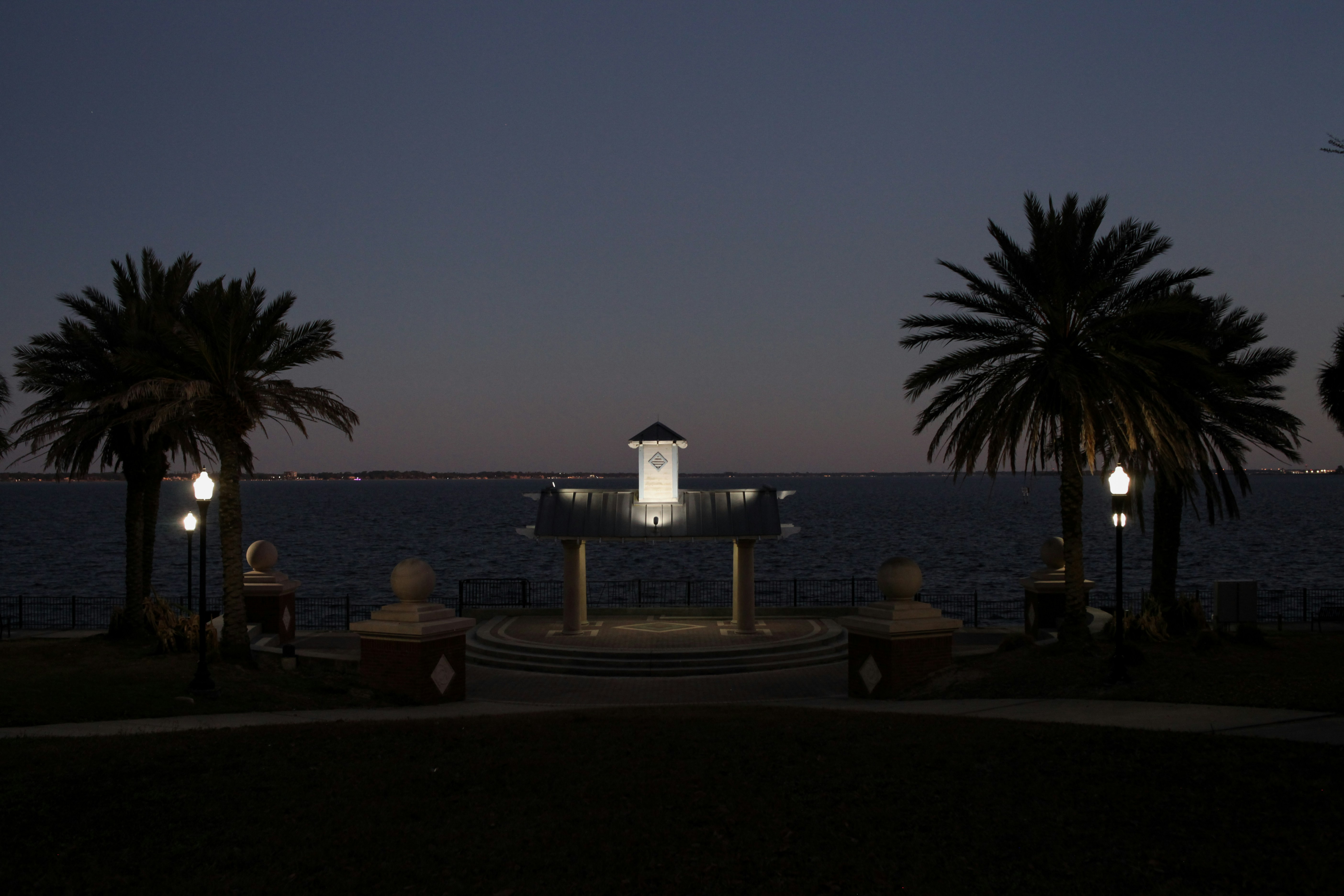 Nightscape by the Fountain: Palm Shadows and Distant Lights