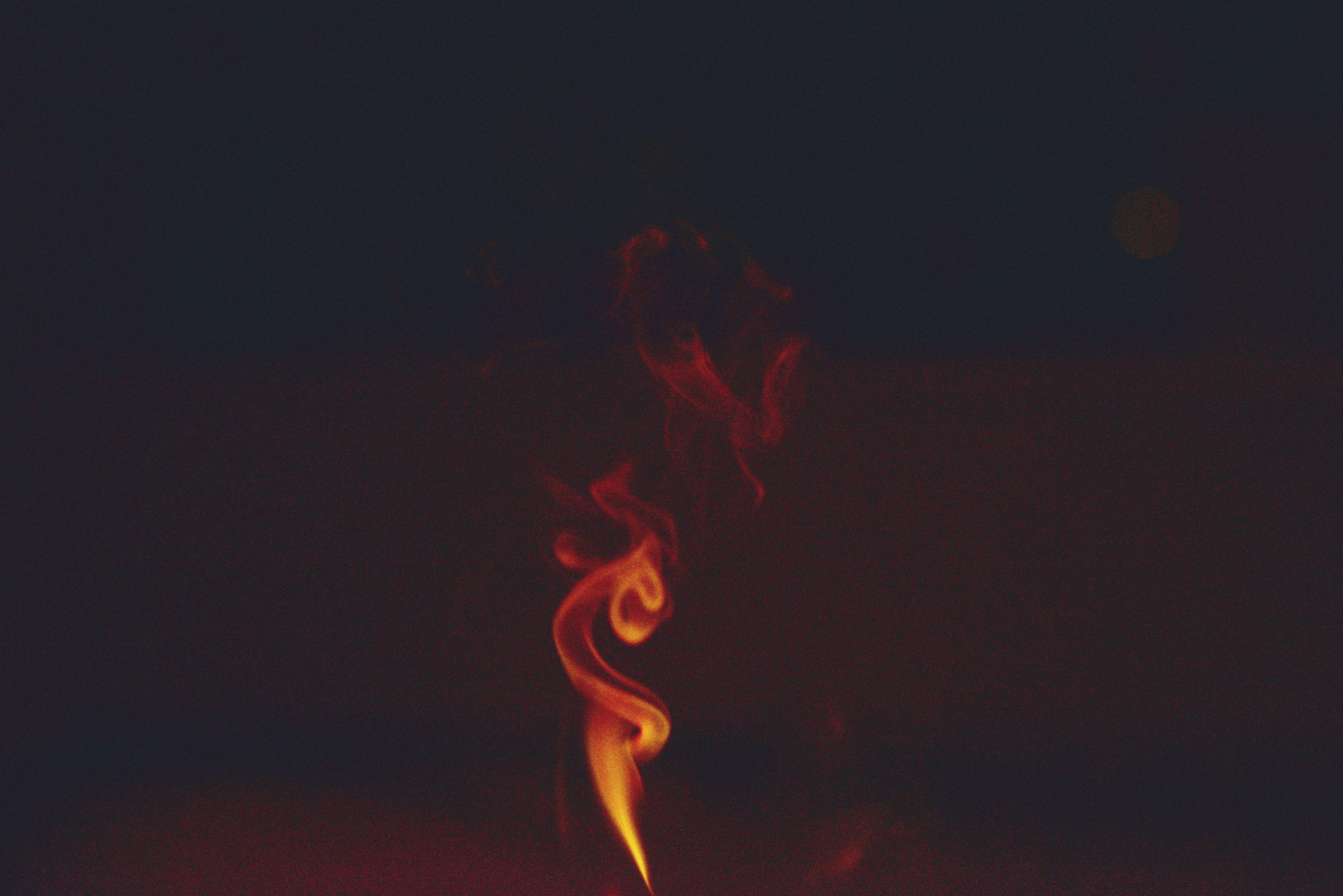 Isolated Flame Bloom in Low Light