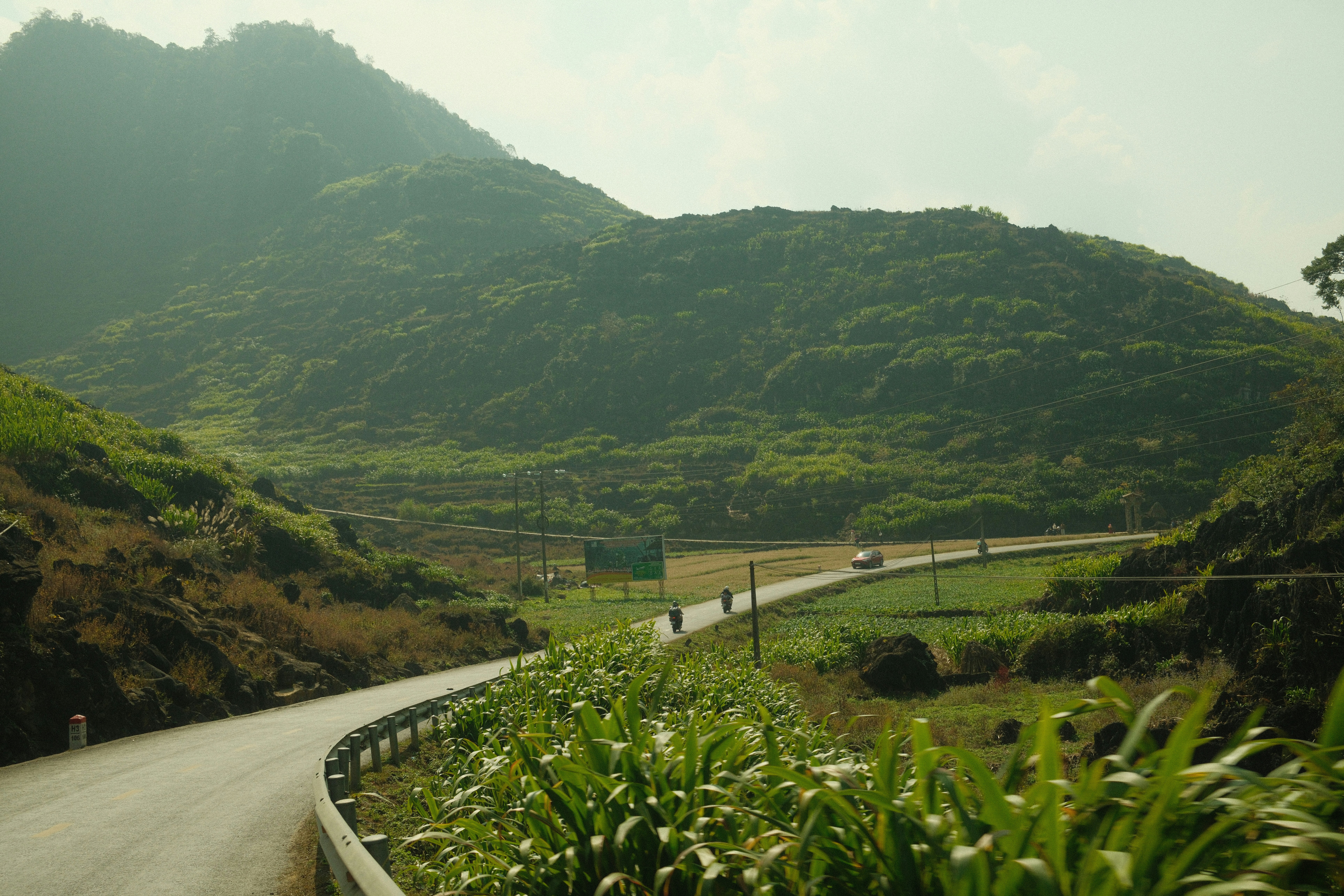 Winding Road Through Emerald Hills