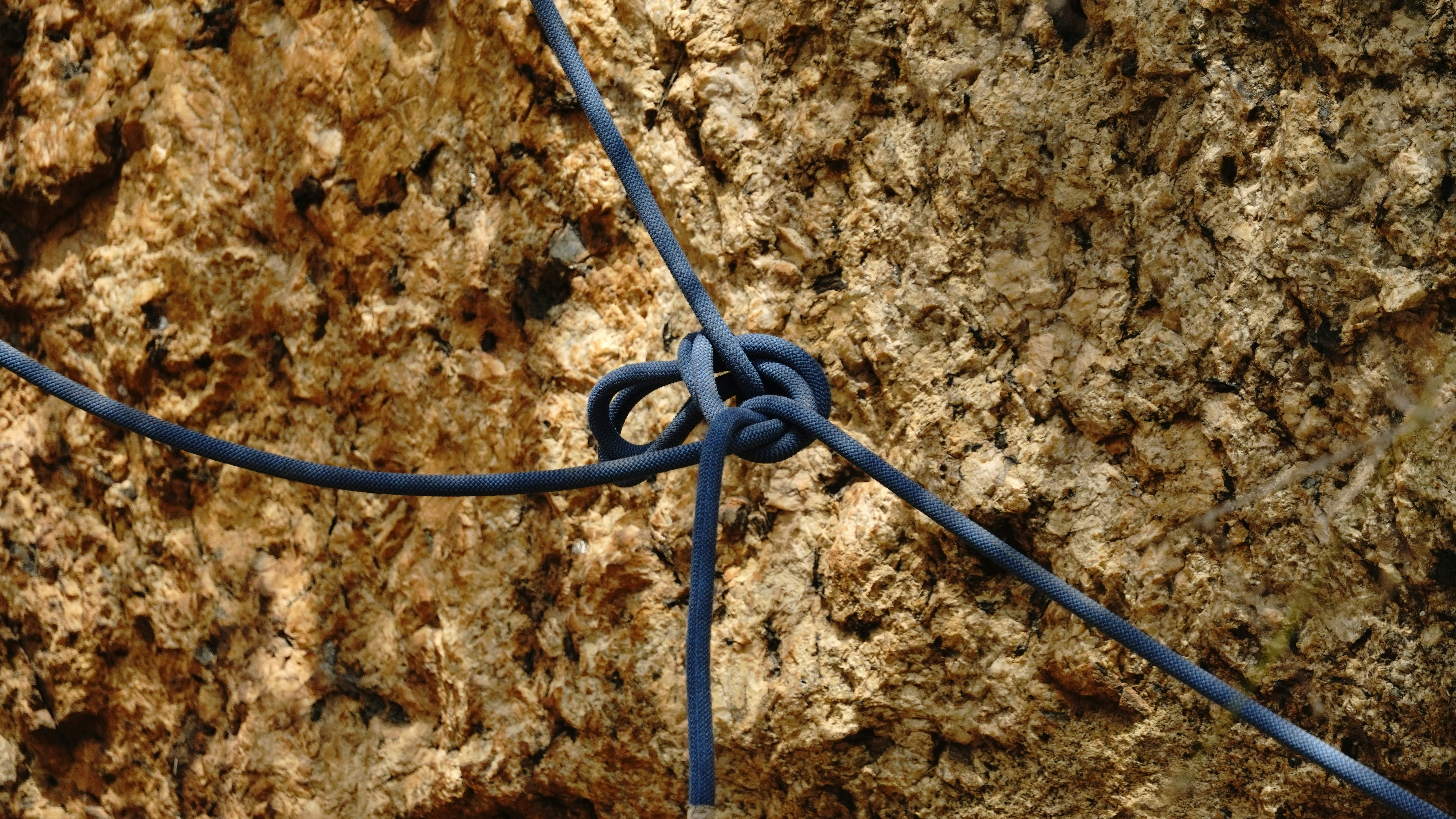 Tightrope of Fiber: A Knot in Rough Terrain