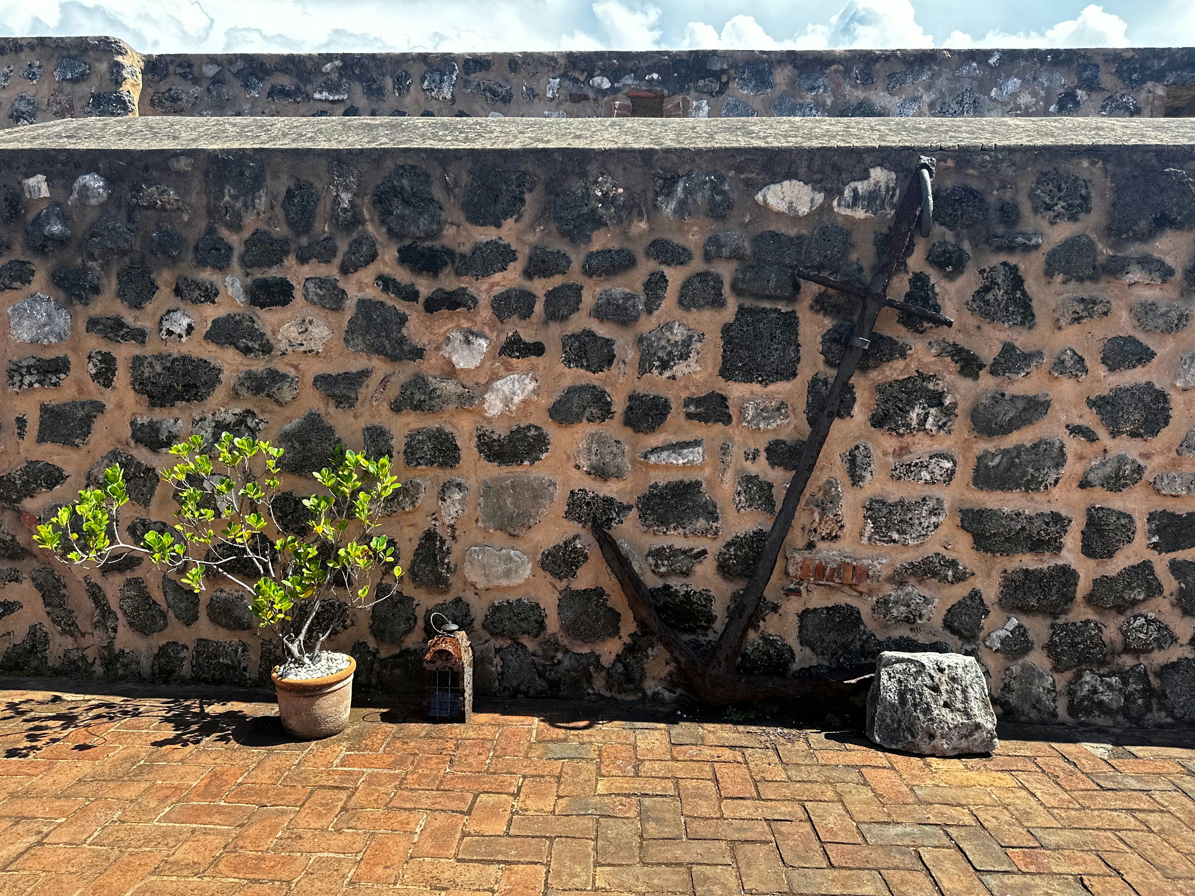Anchor to the Wall: Left Plant, Right Anchor on a Sunlit Terrace