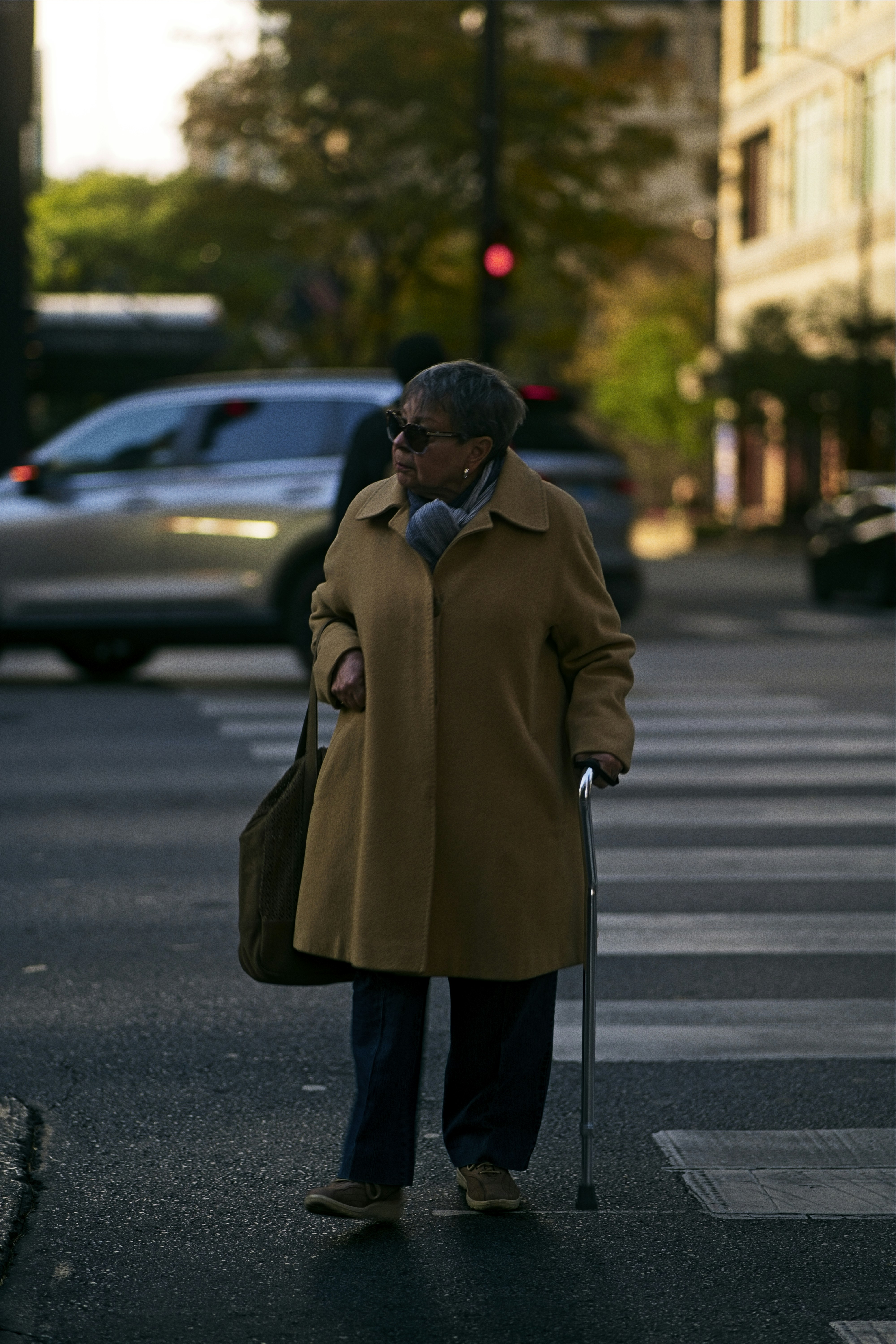 Crossing Guard: A Moment of Dignity in the City Rain