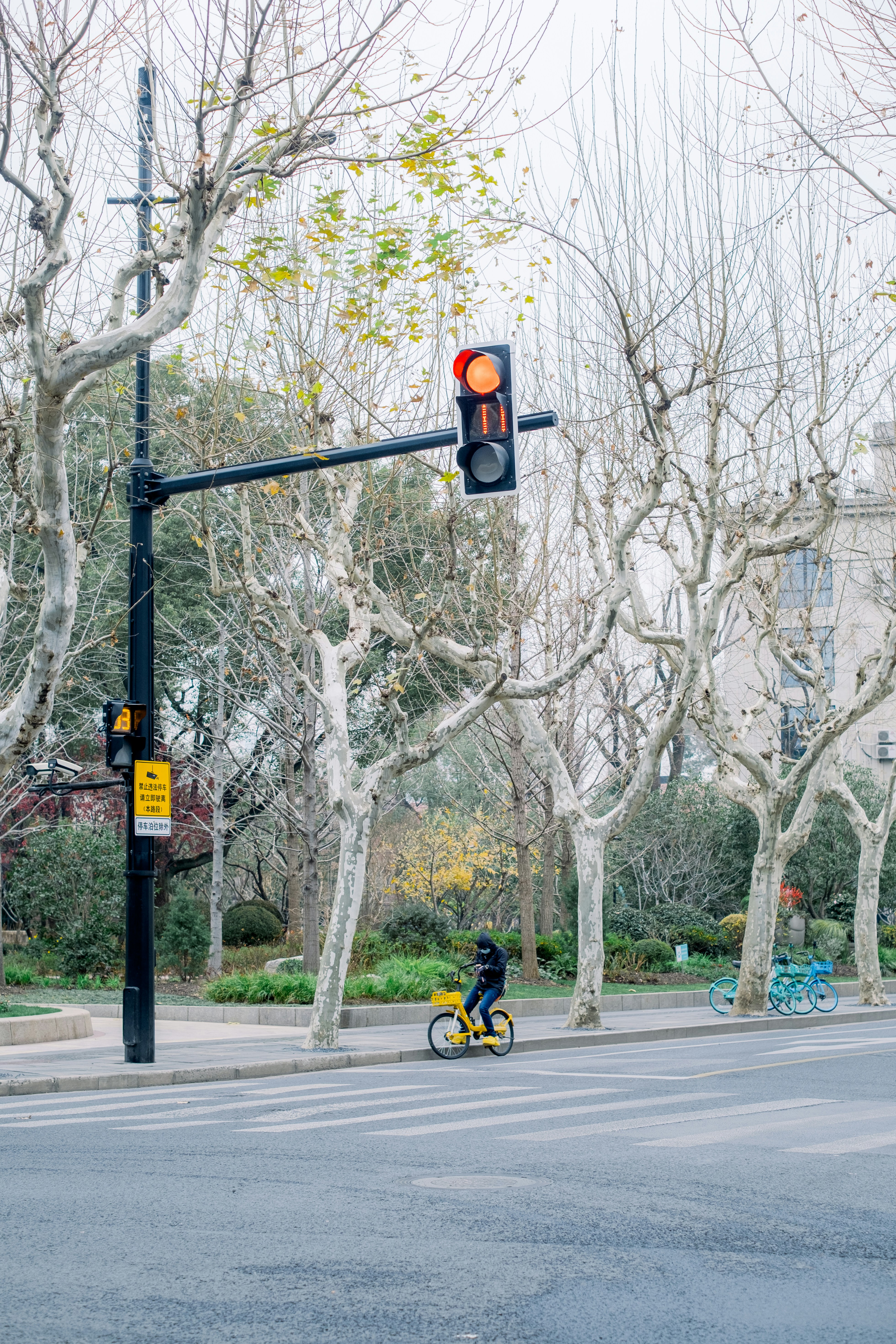 Urban Crossing: A Red Light Over Quiet Streets