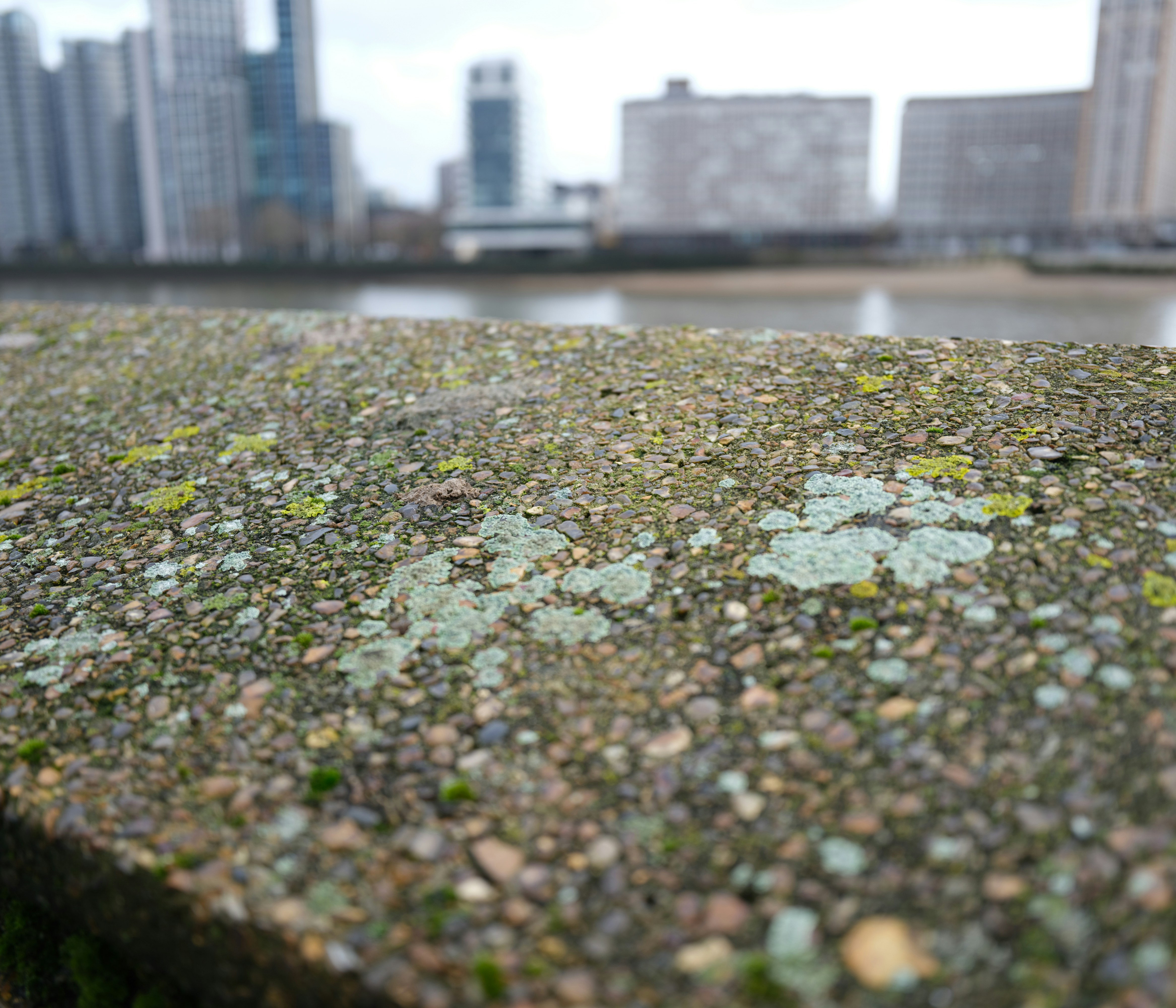 Lichen-Textured Concrete Edge Framing a Quiet City River