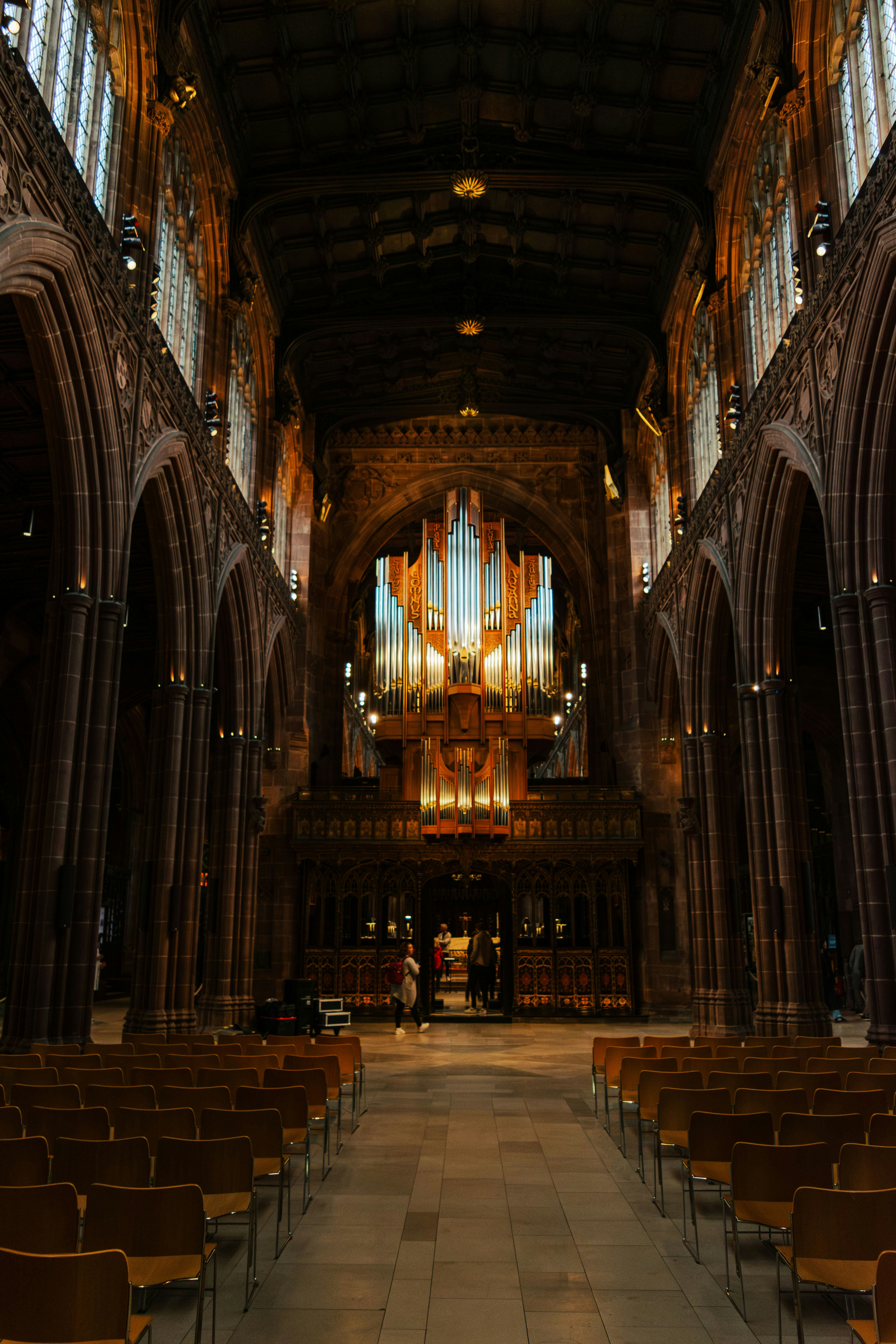 Organ pipes Rise Over Stony Aisles of a Gothic Cathedral