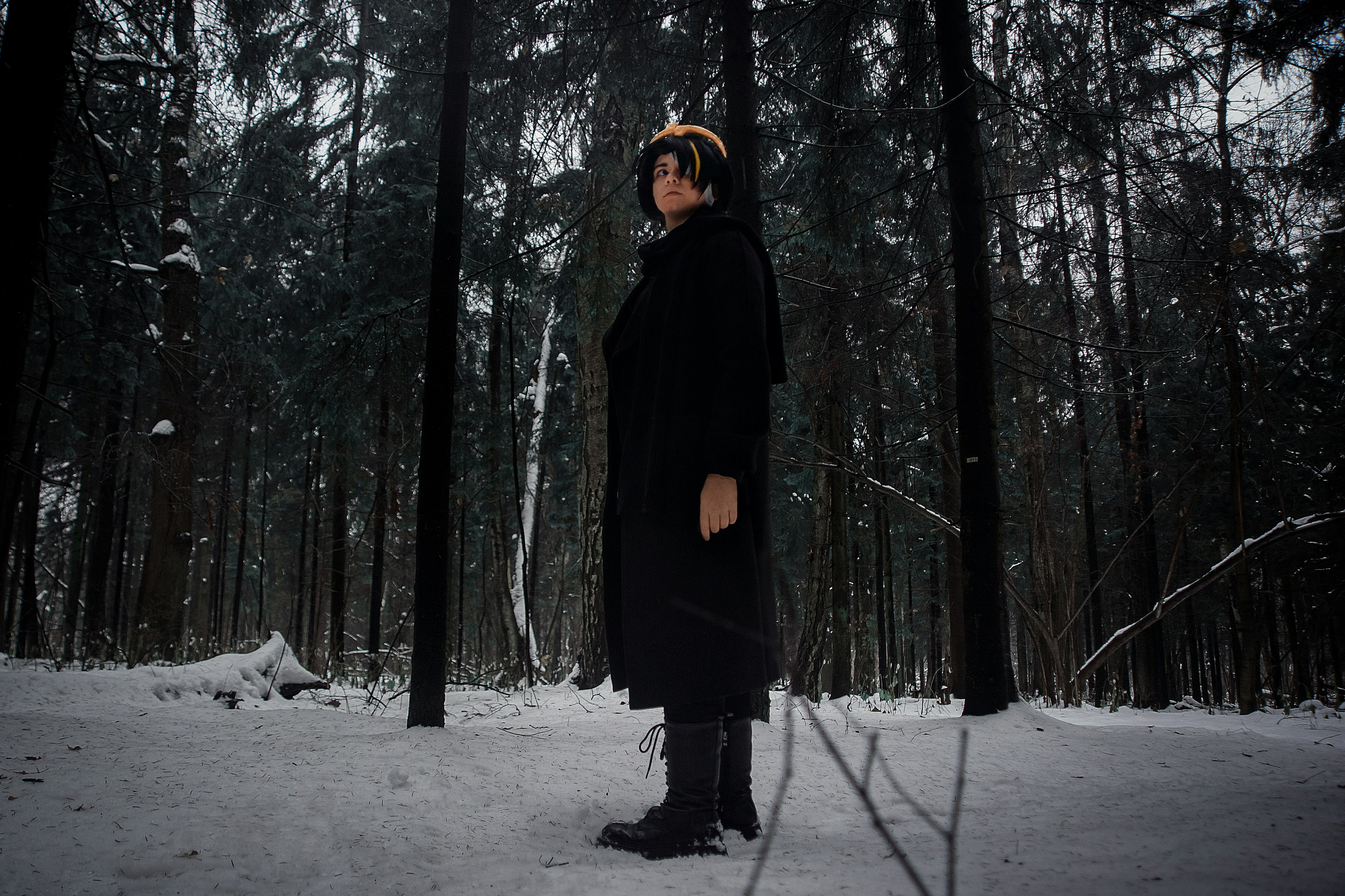A solitary figure in dark clothing stands among snow-dusted trees in a dense forest, creating a stark contrast with the white ground. A moody, atmospheric portrait without visible signage or branding.
