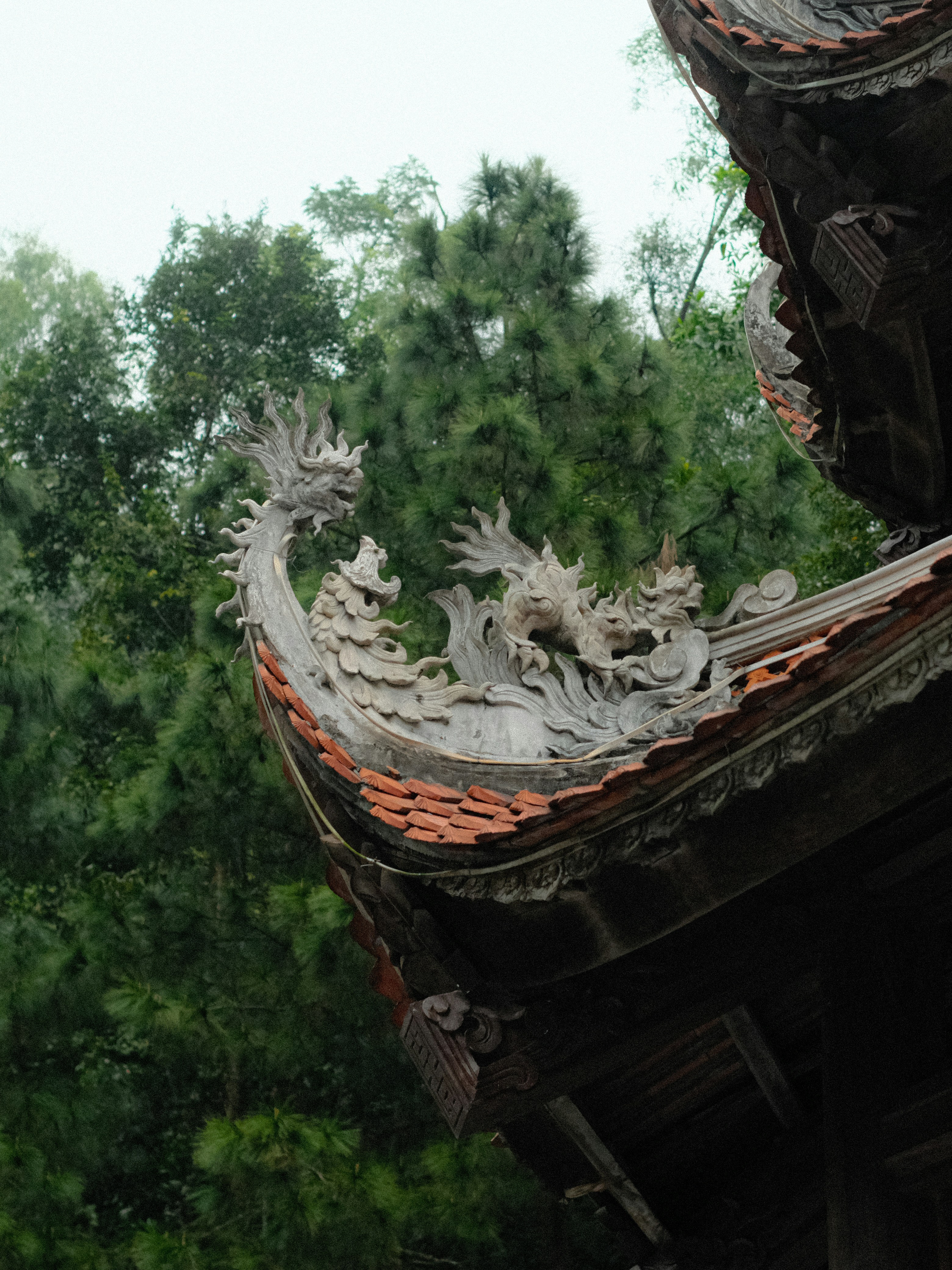 Dragoncrest Roofline: A Stone Carving under an Overgrown Sky