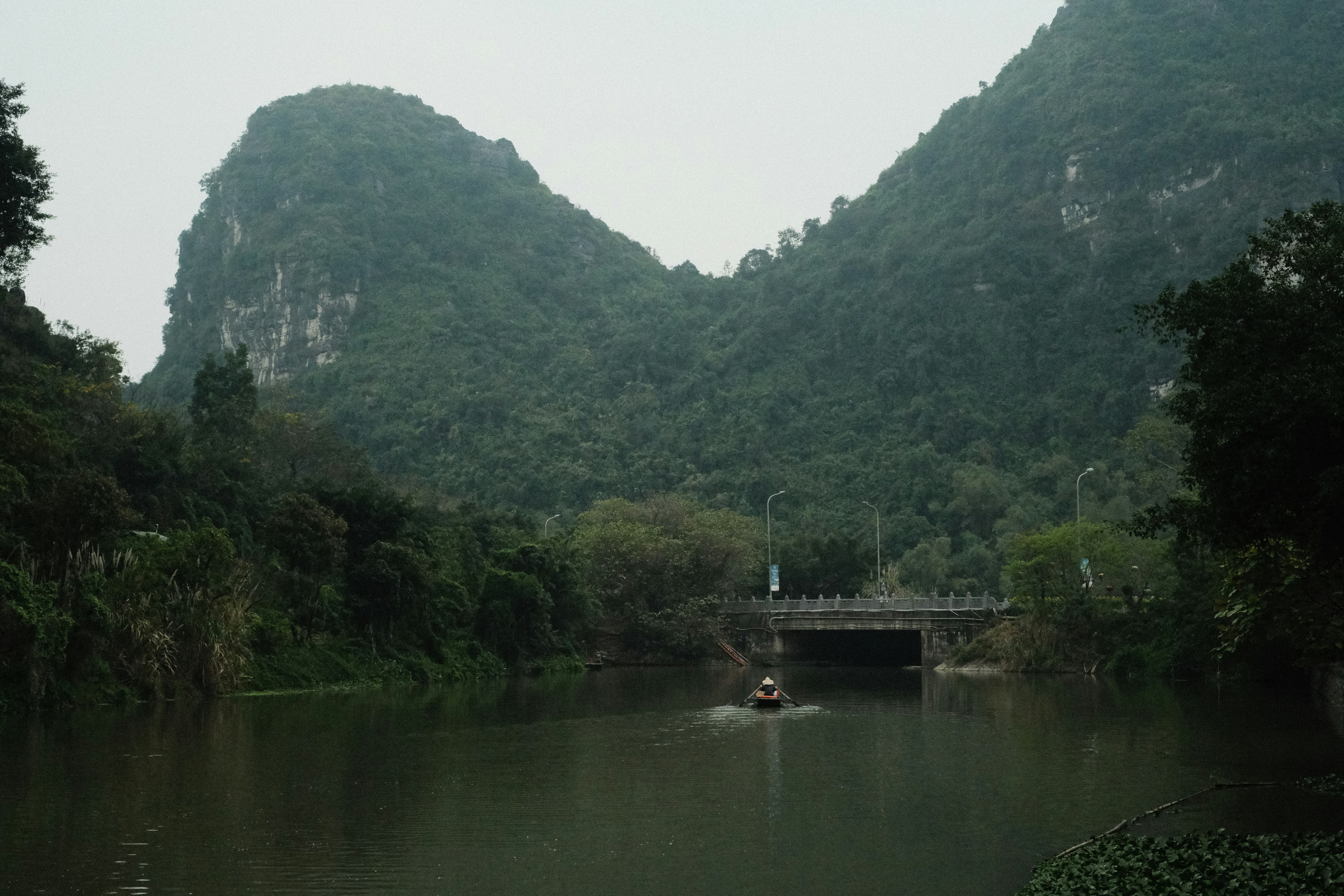 Misty river bend under a forested canyon bridge