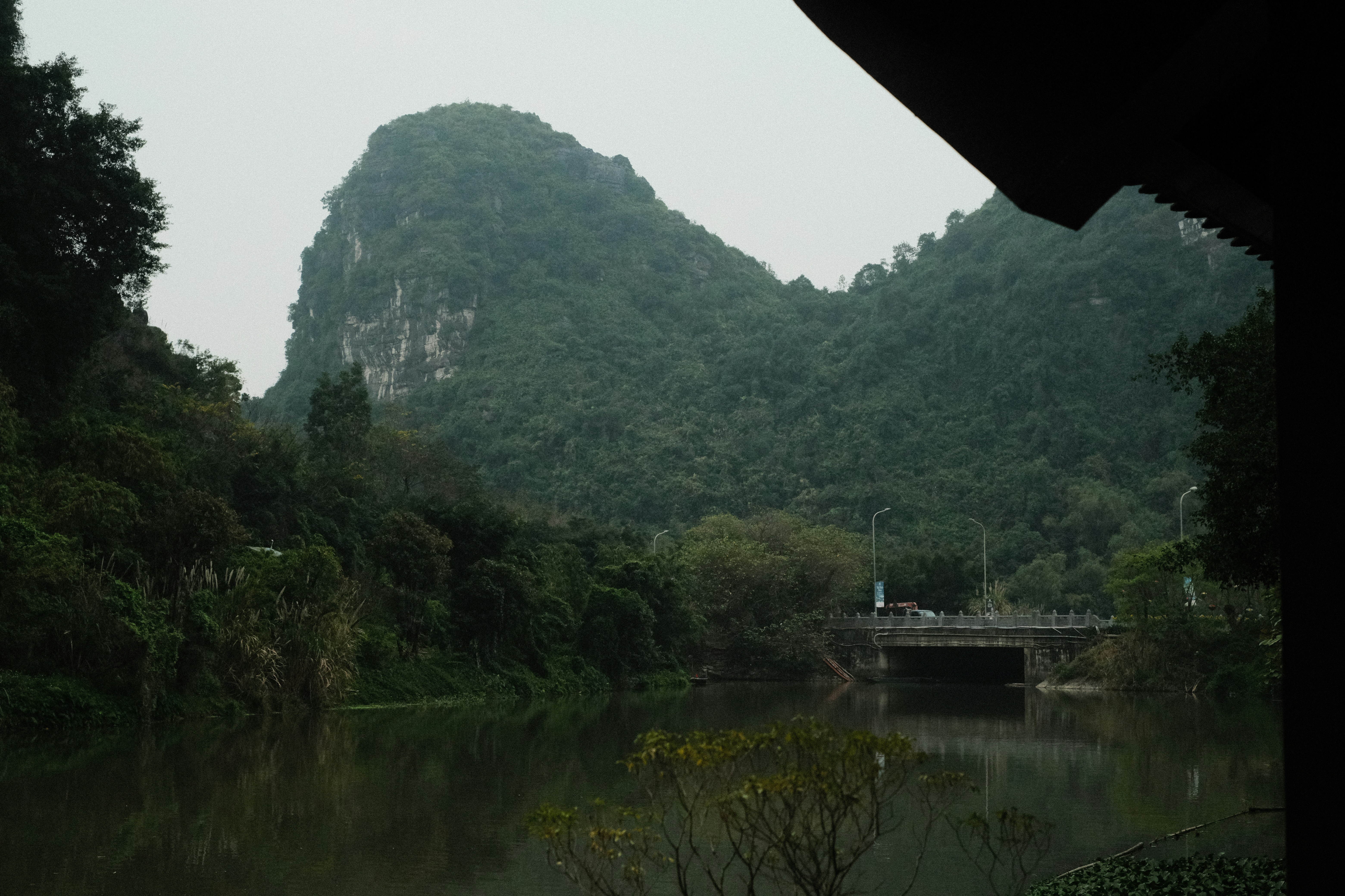Riverbank Outcrop: A Quiet Gateway Beneath the Overhang