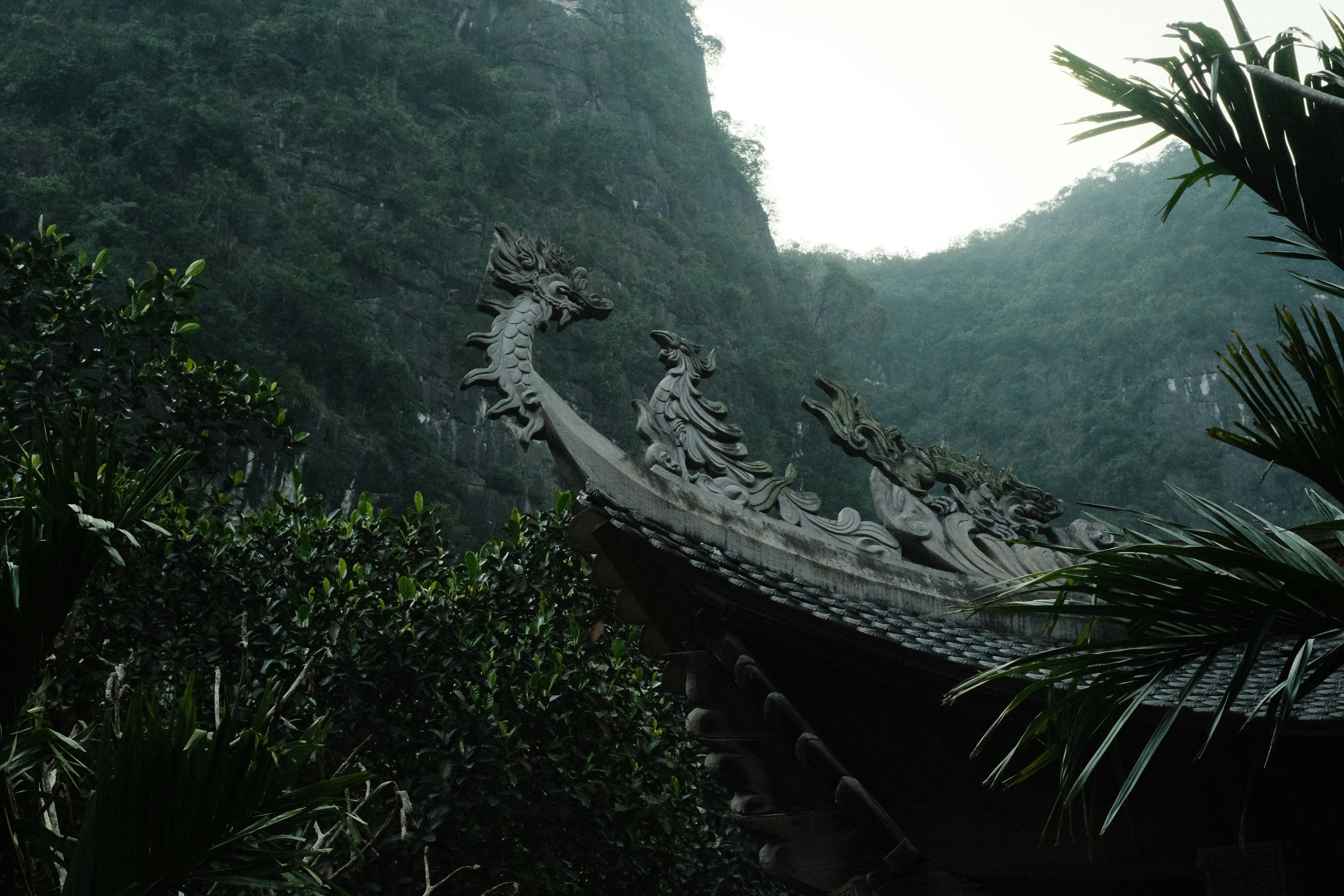 Dragon Crest Roofline against Misty Valley