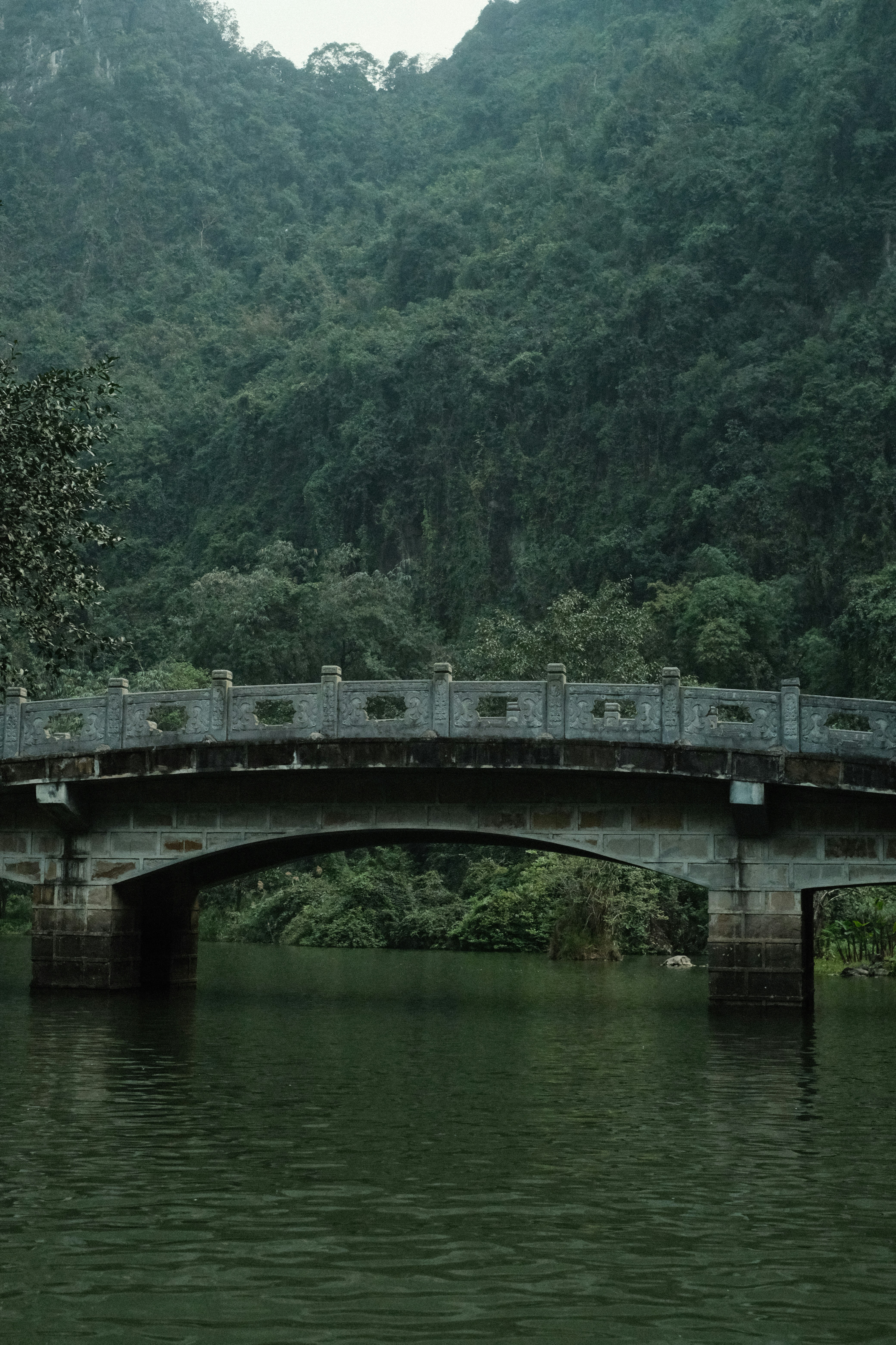Ancient Stone Bridge Quietly Spanning a Misty Forest River
