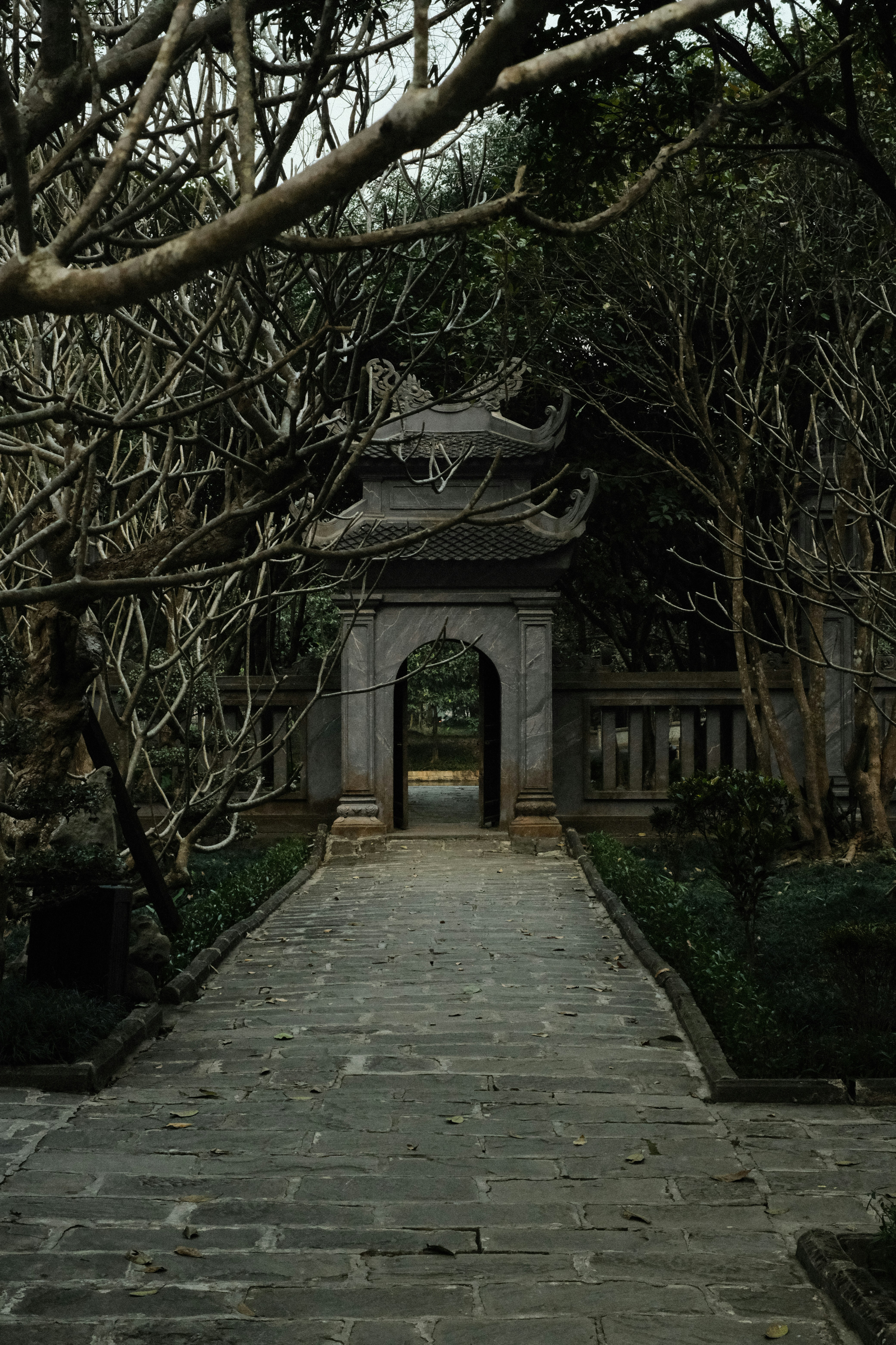 Gate Through the Quiet Arbor