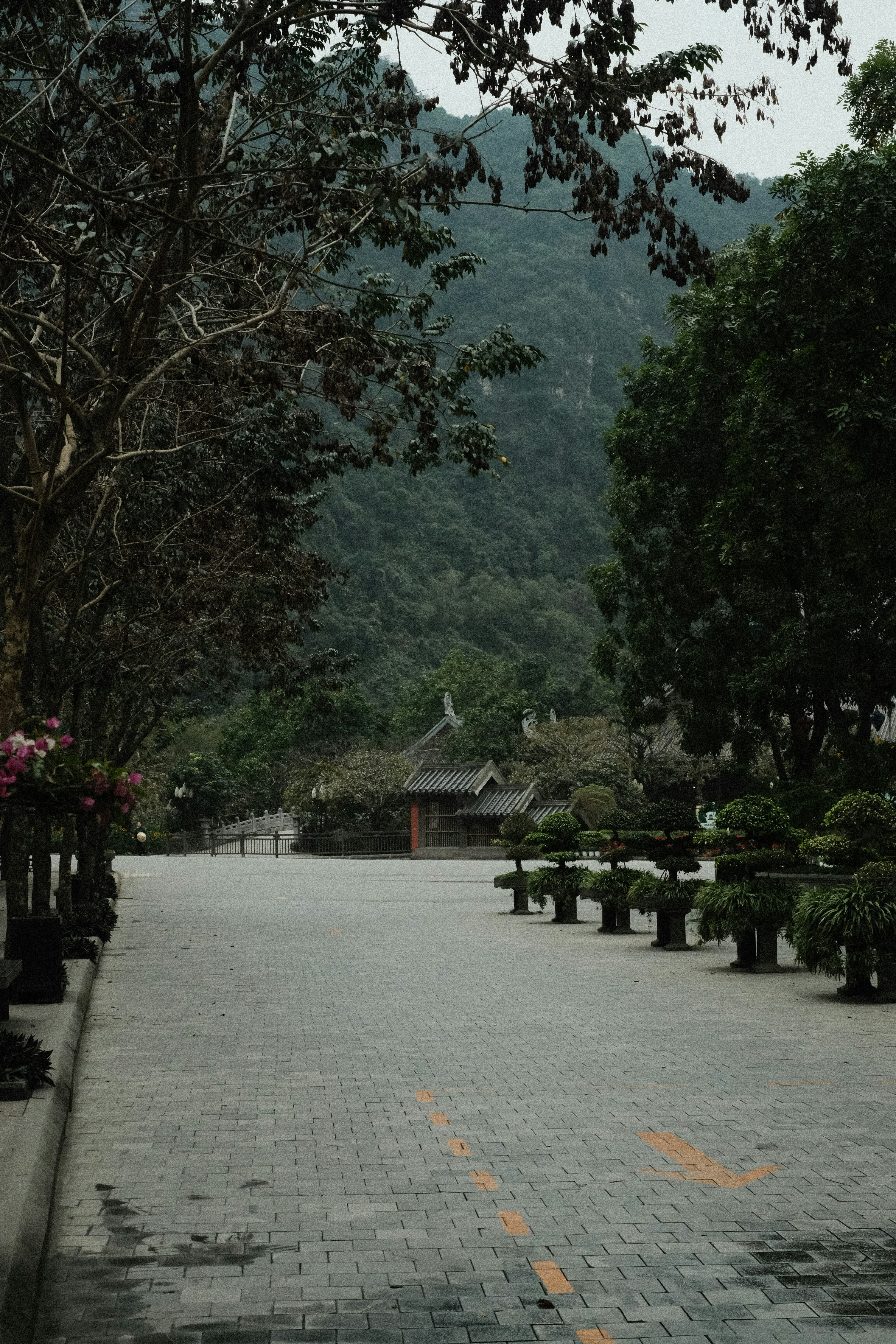 Quiet Avenues: A Temple Path Framed by Forested Mountains