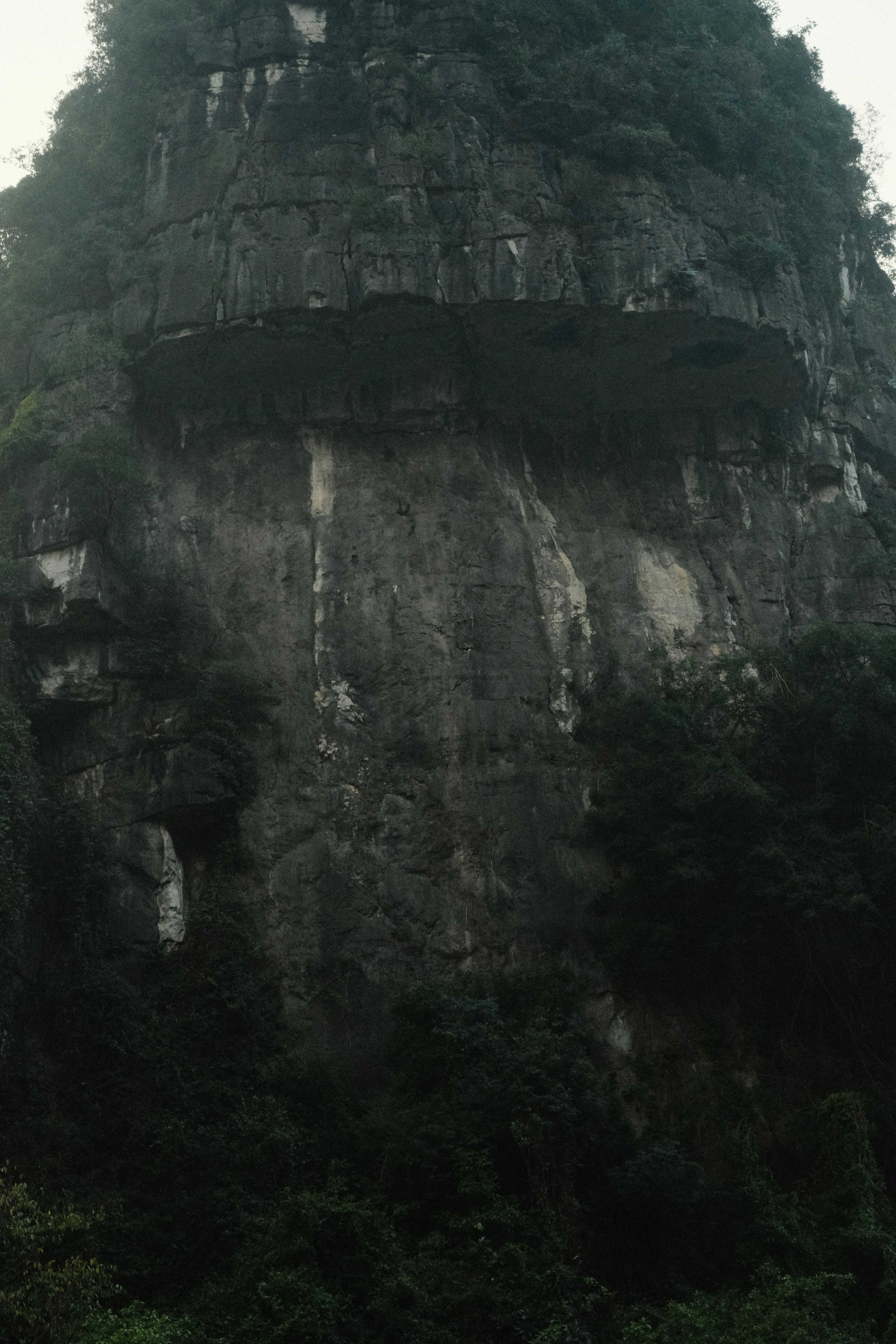 Vertical Cliff Monolith Wrapped in Greenery