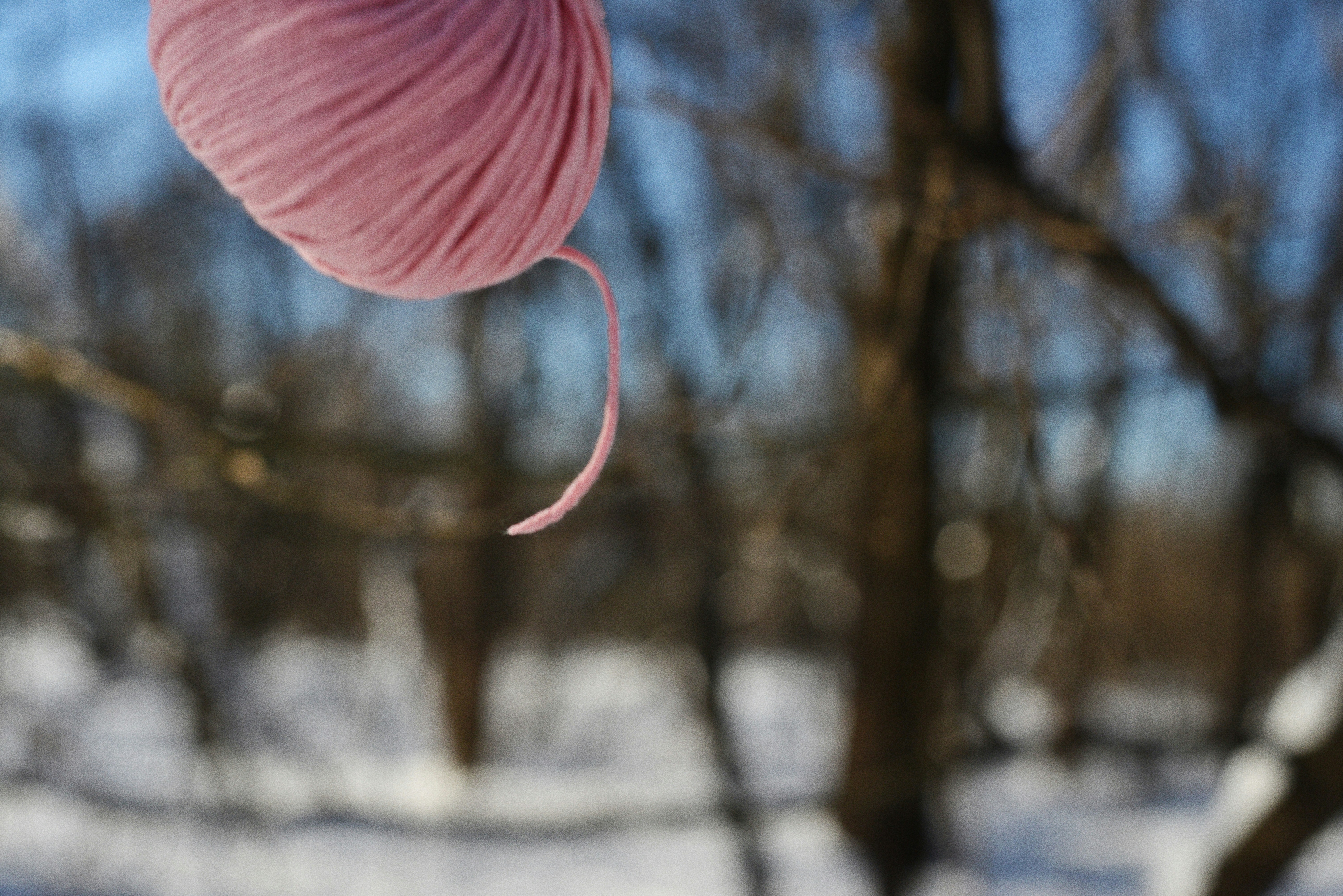 Pink Yarn in Focus Against a Winter Woodland Backdrop