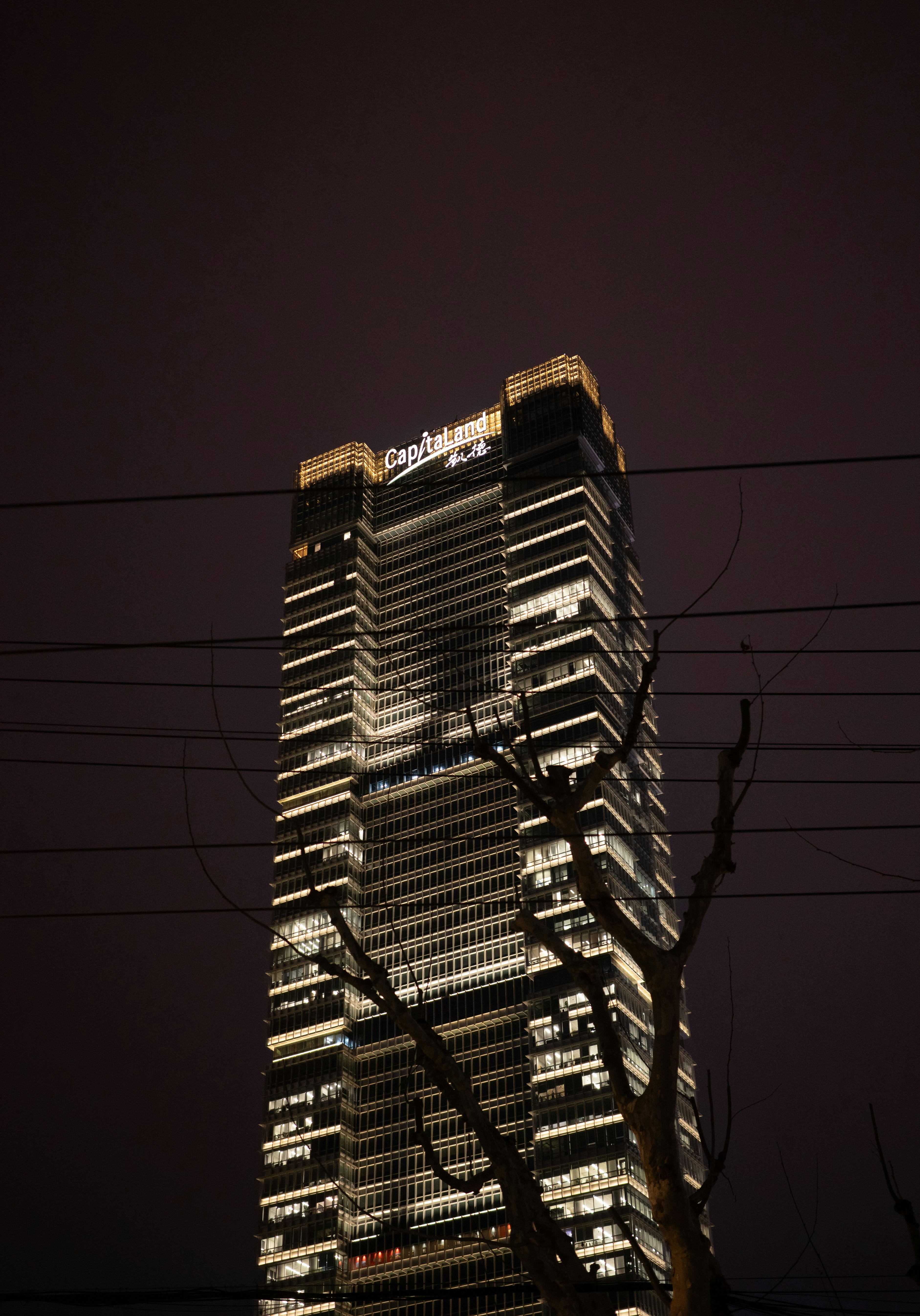 Capitol Tower at Night: Crowned by Illuminated Sign