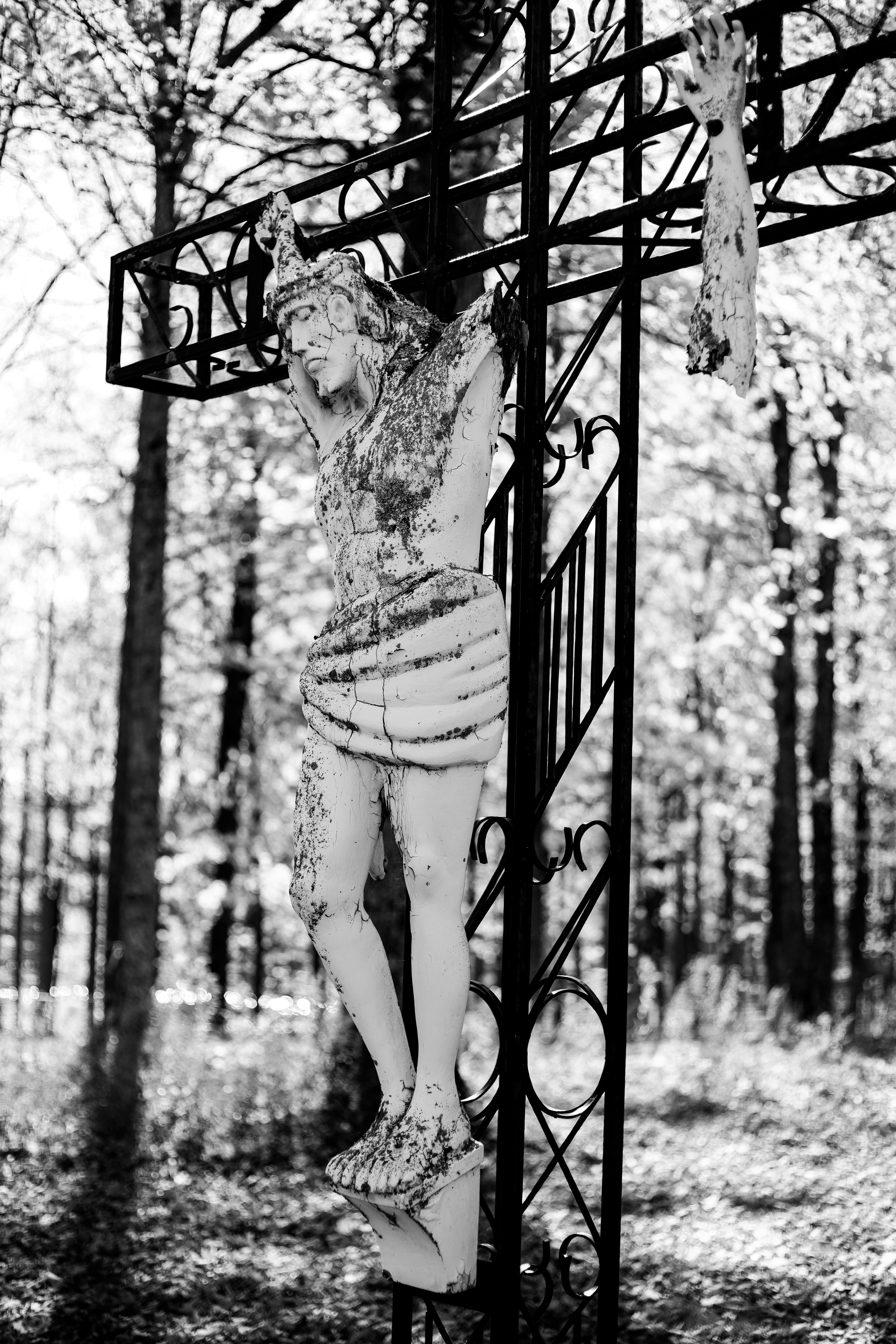 Cruciform Silence: A Bellwether Crucifix in the Pines