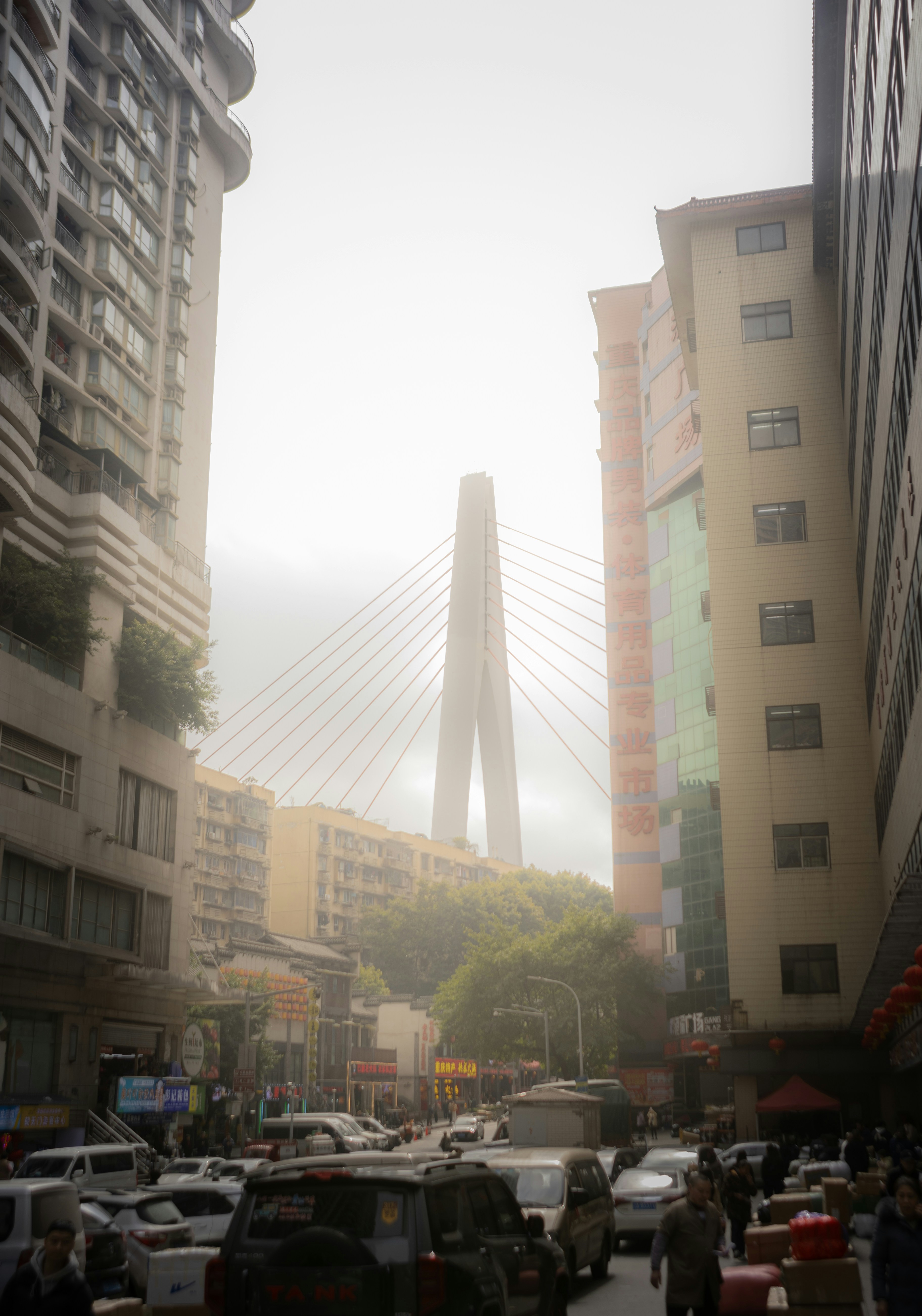 Urban Arc: A Cable-Stayed Spine Rises Over a Busy Street