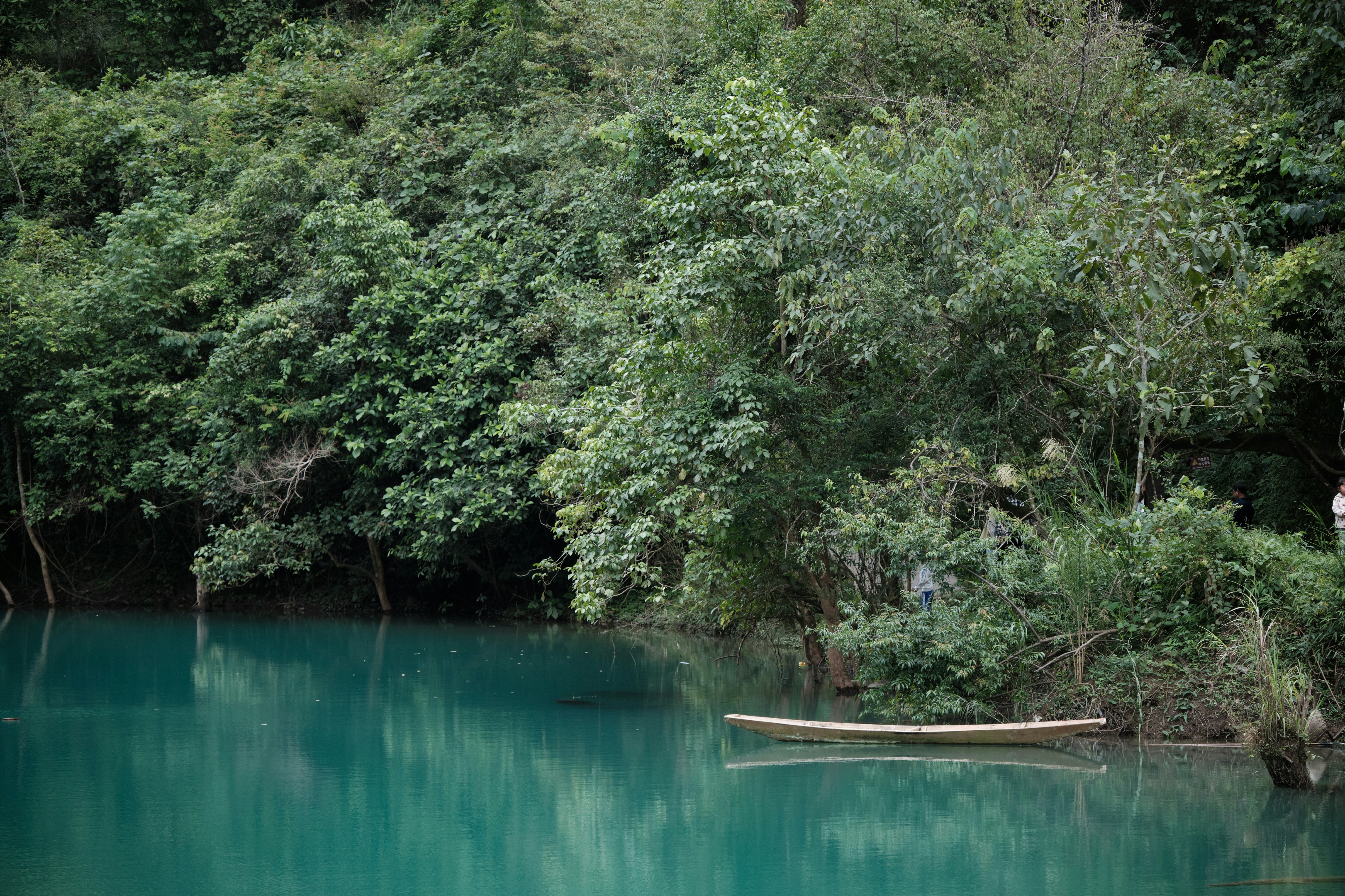 Emerald Quiet: A Canoe Rests at the Edge of a Verdant Lake