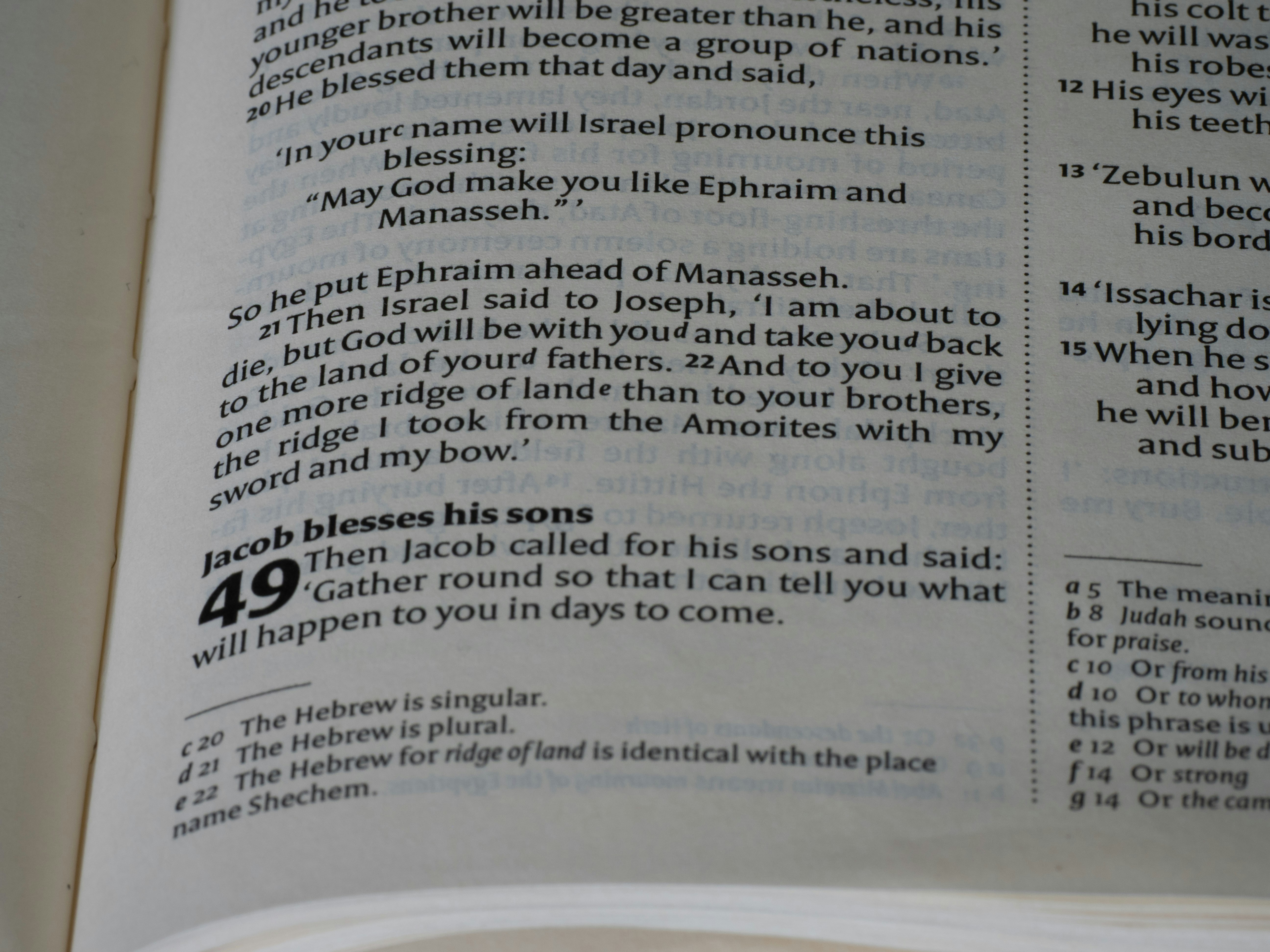Scripture Lines: A Page of Hebrew Annotations Folded in Quiet Focus