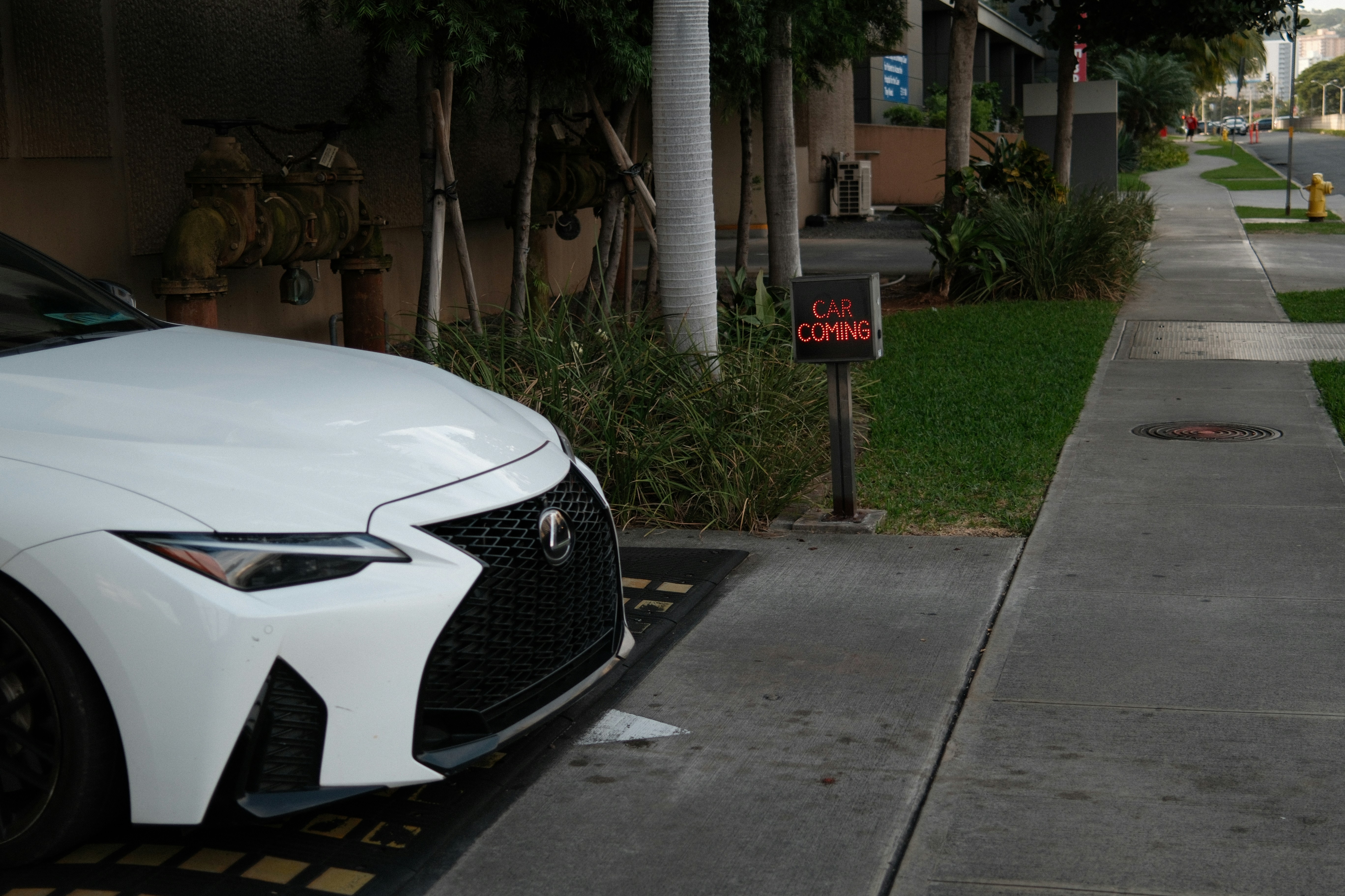 Luxe in the Driveway: Framing the Lexus at the Edge of the Street