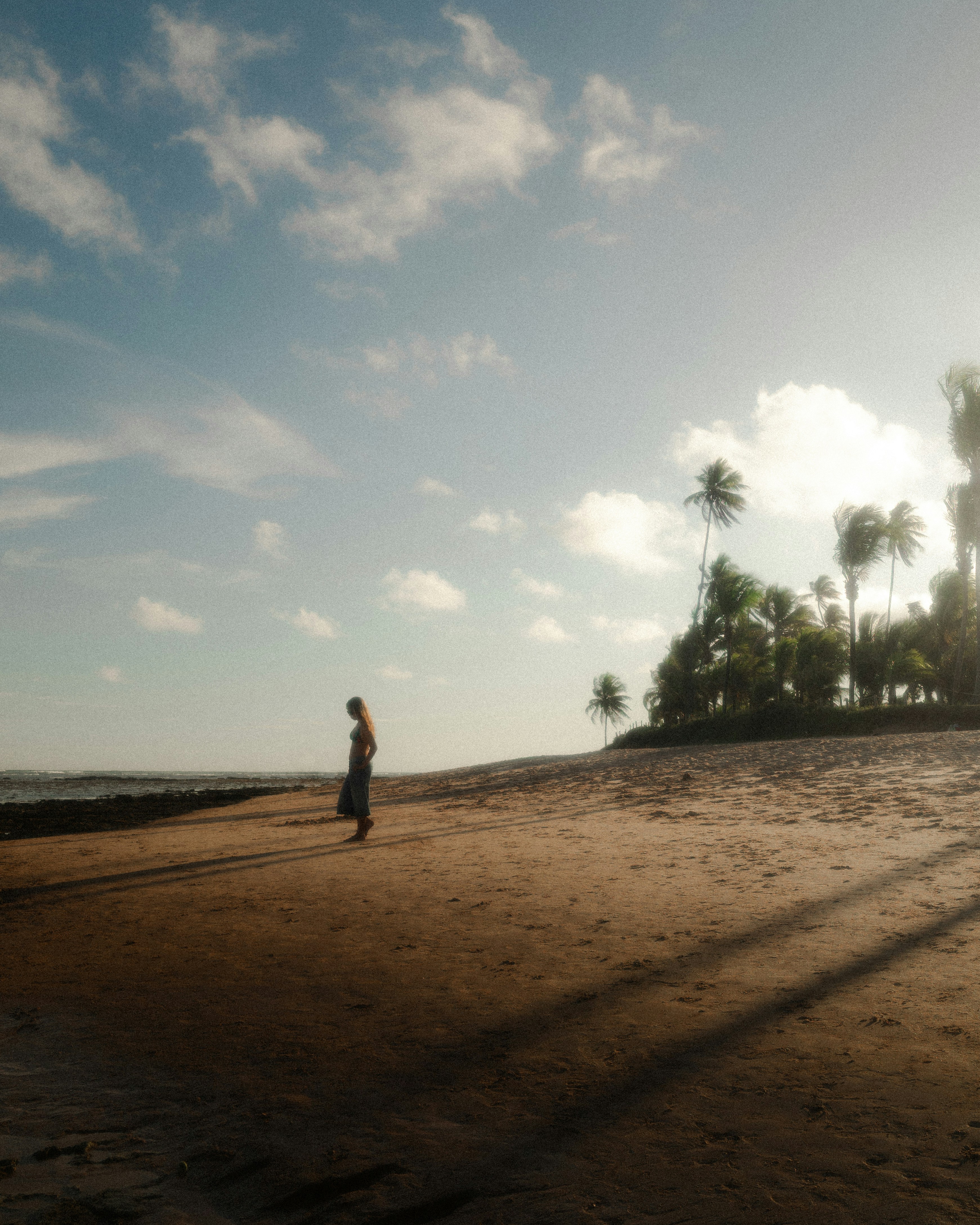 Lone Wanderer at Distant Palm Cliffs