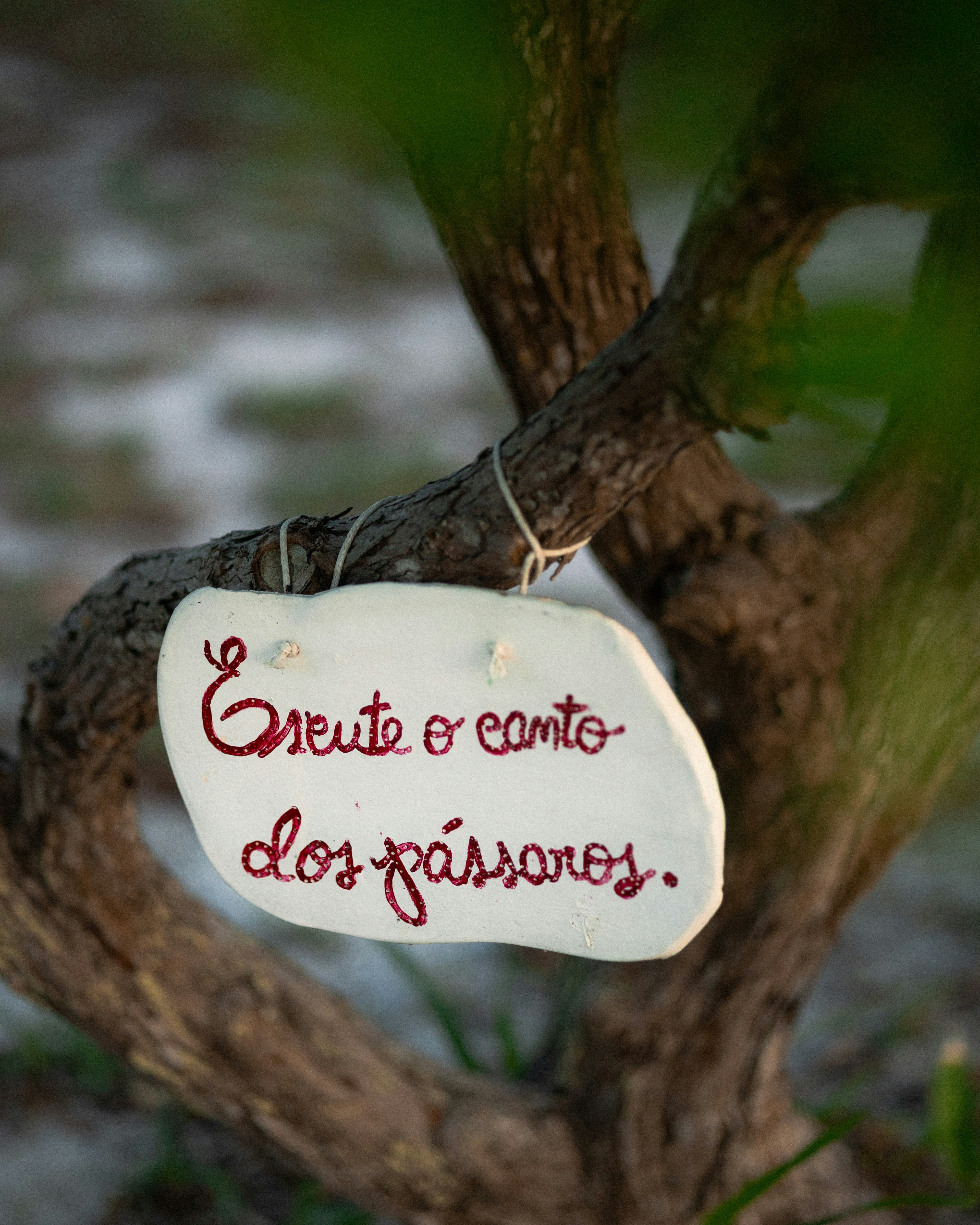 Whispered Sign in the Knotted Tree