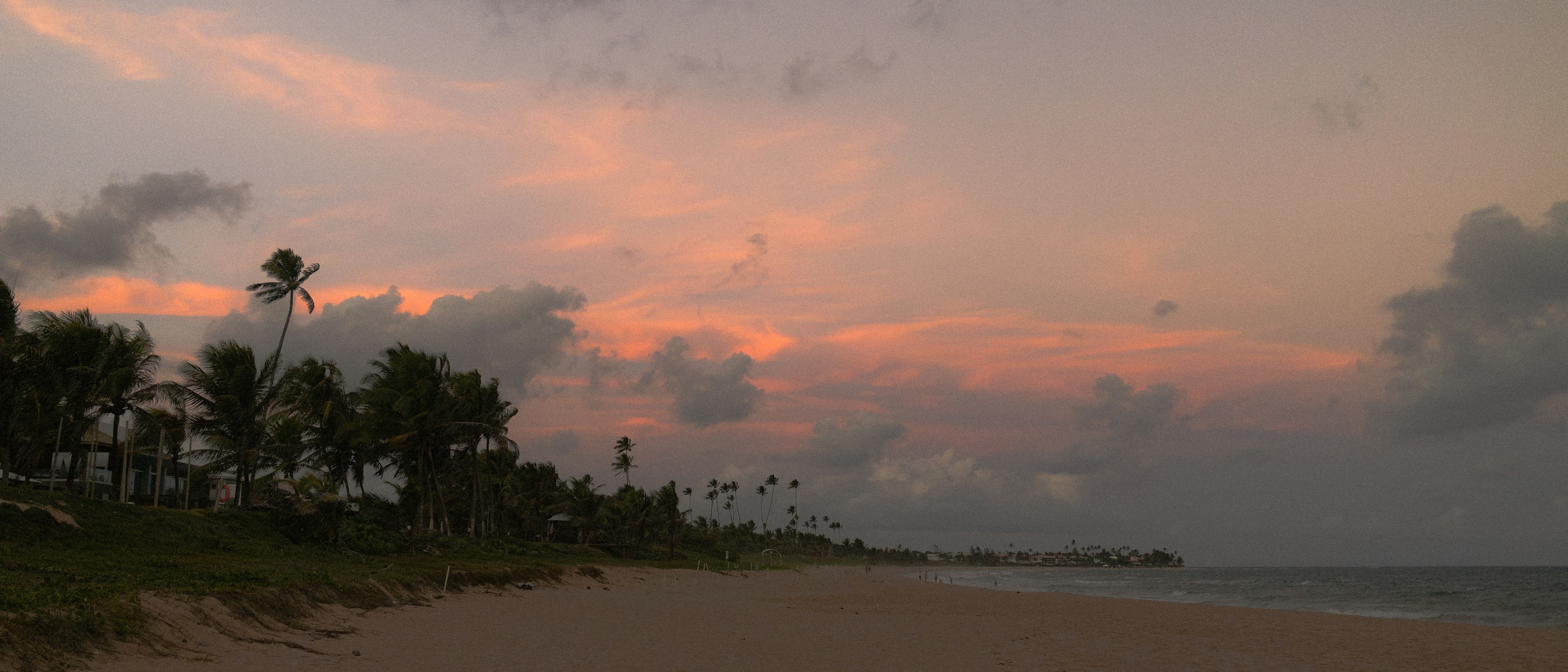 Pastel Horizon over a Quiet Palms Beach