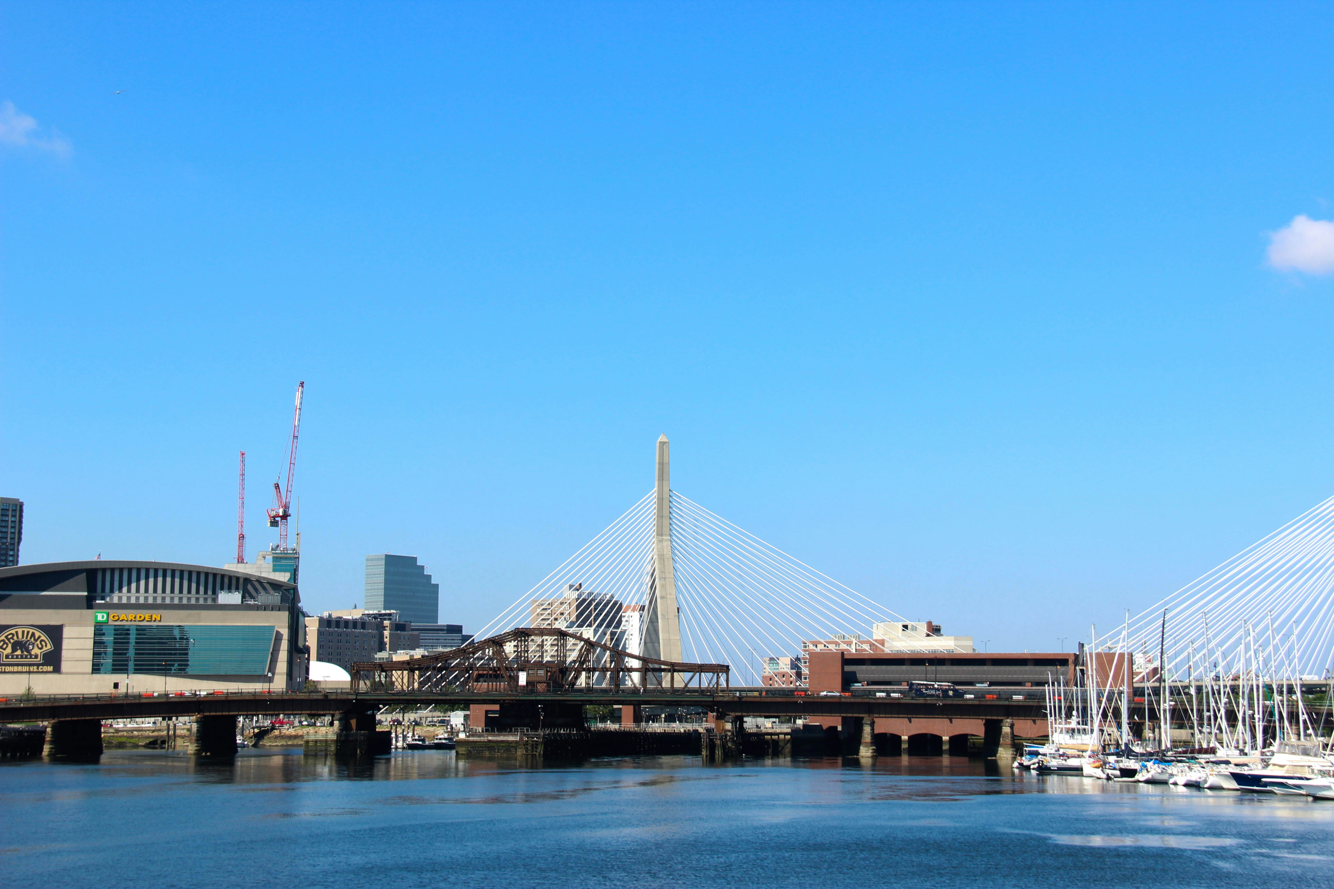 Bridge Horizon: Concrete Giants Over Calm Waterfront