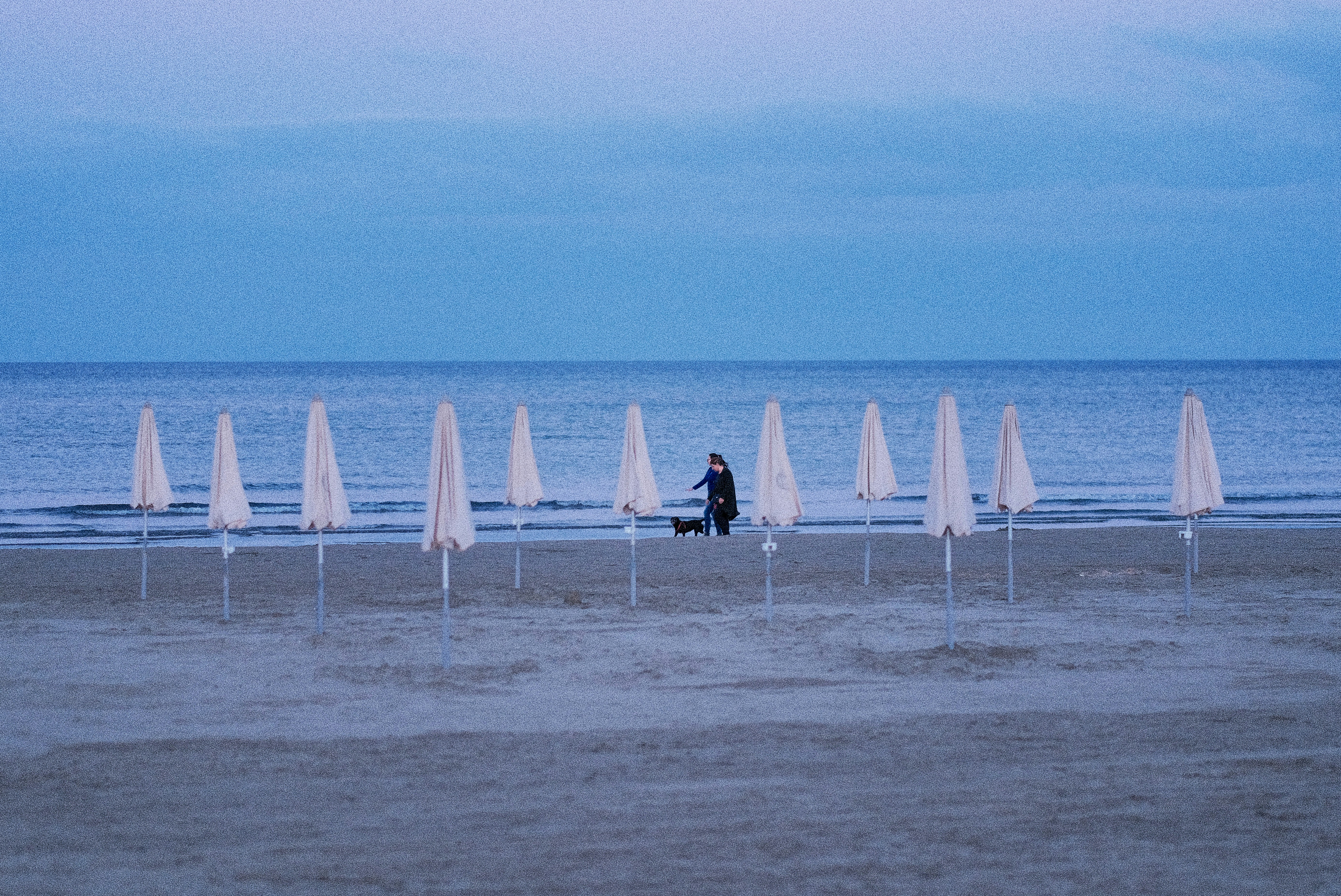 Row of closed beach umbrellas with a lone figure on the shore at dusk