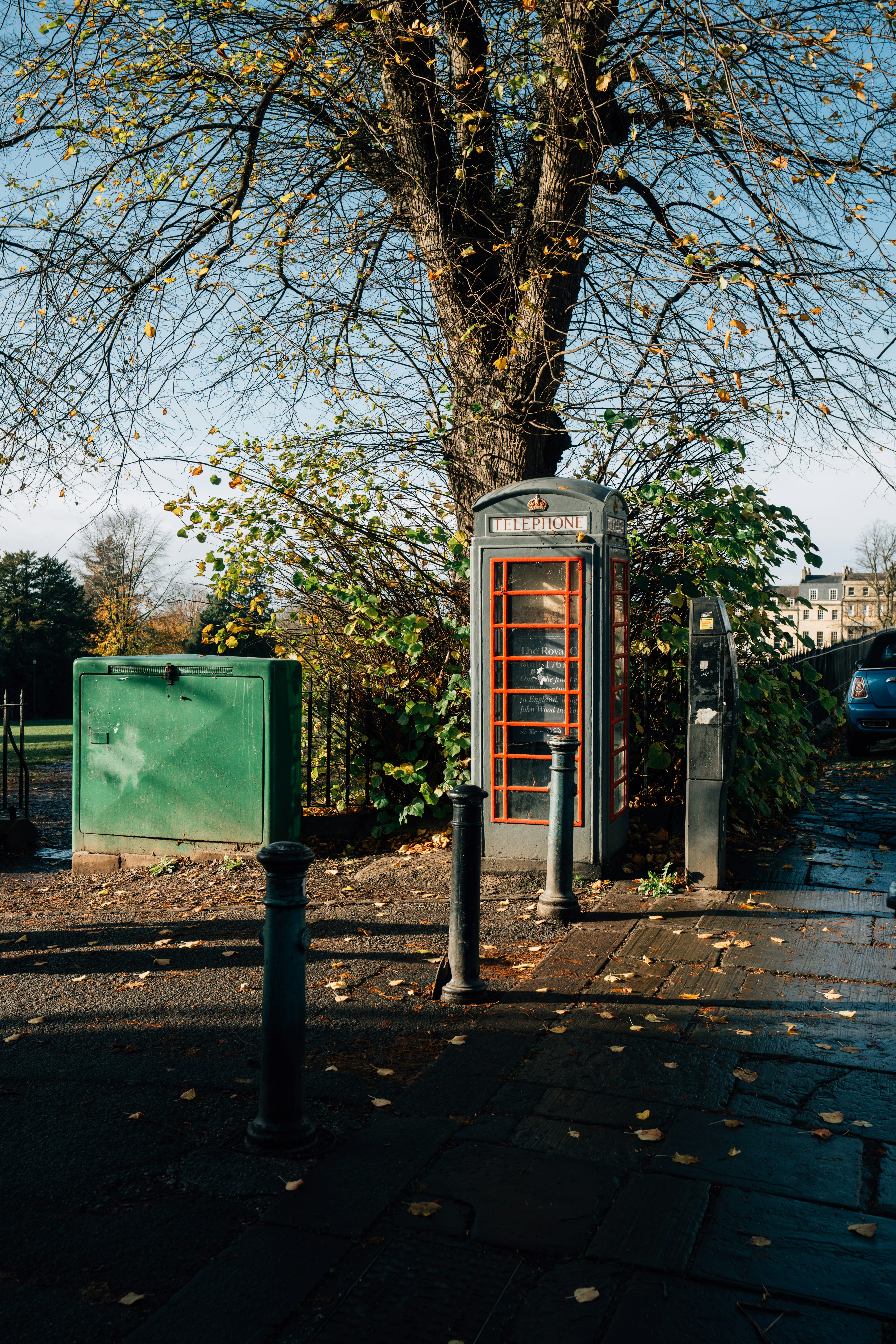 The Red Telephone Box Beneath Autumn Canopy