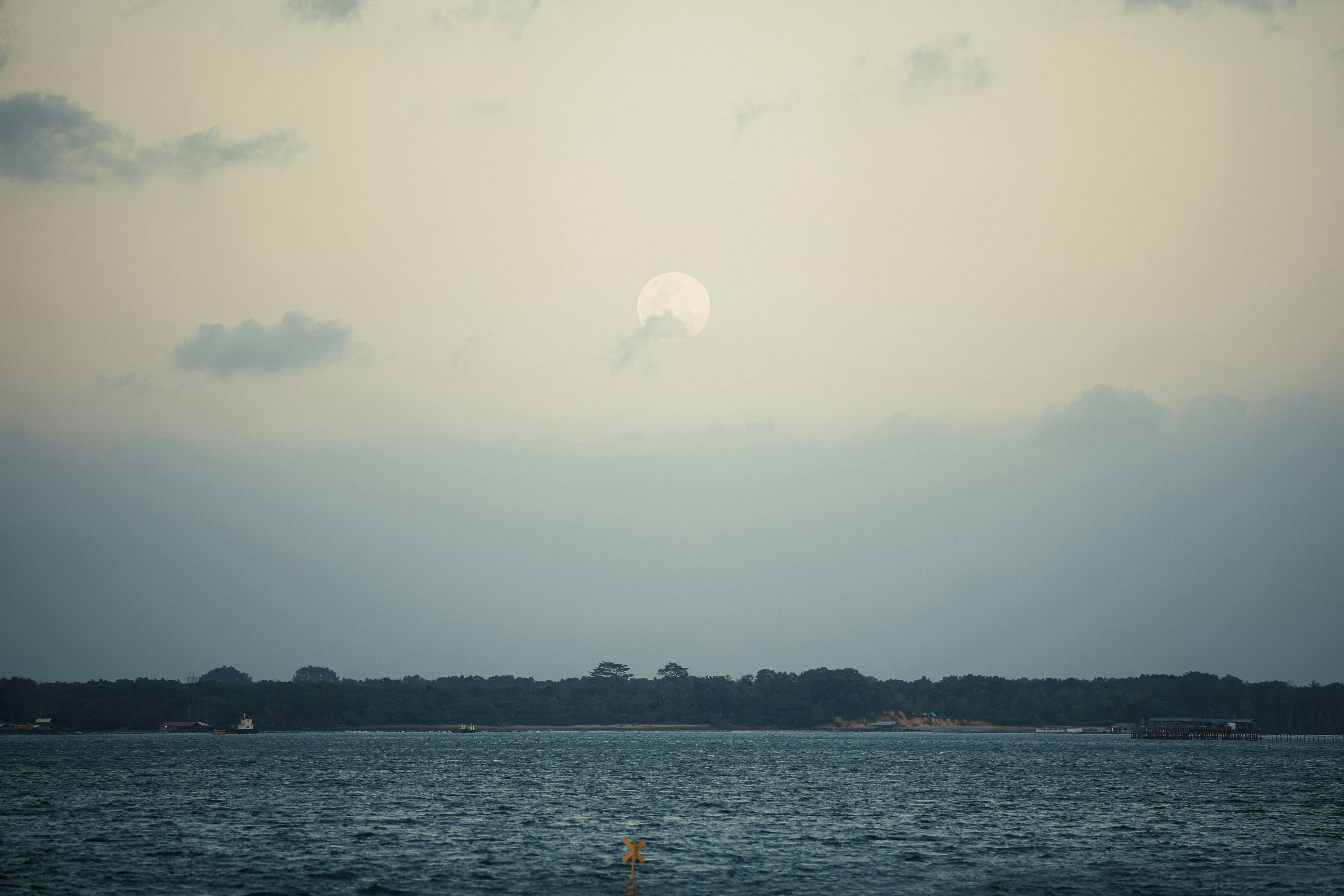 Moonrise Over a Quiet Shore